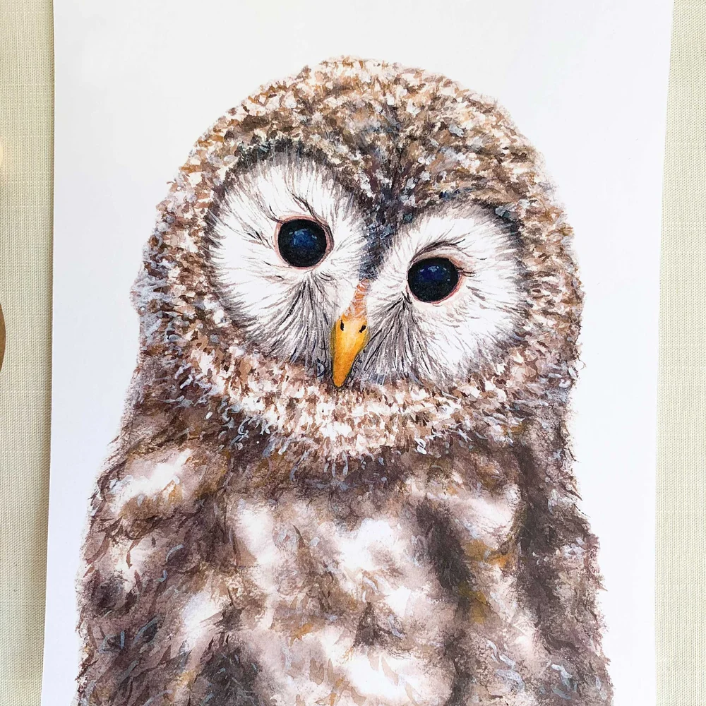Owl Art Watercolor Drawings