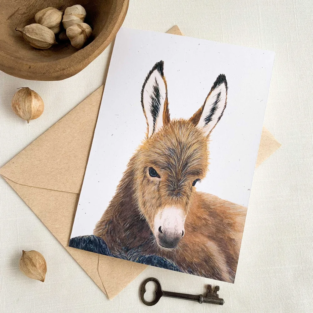 Baby Donkey