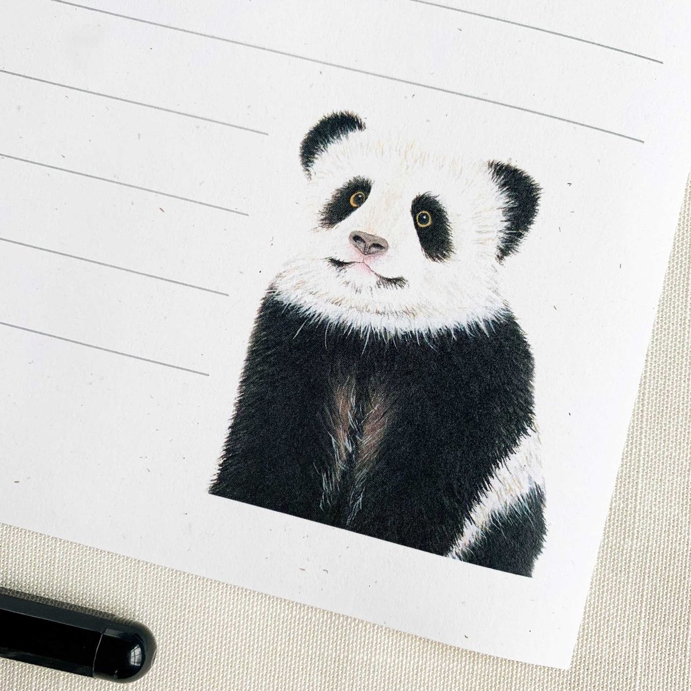 How To Draw A Realistic Baby Panda