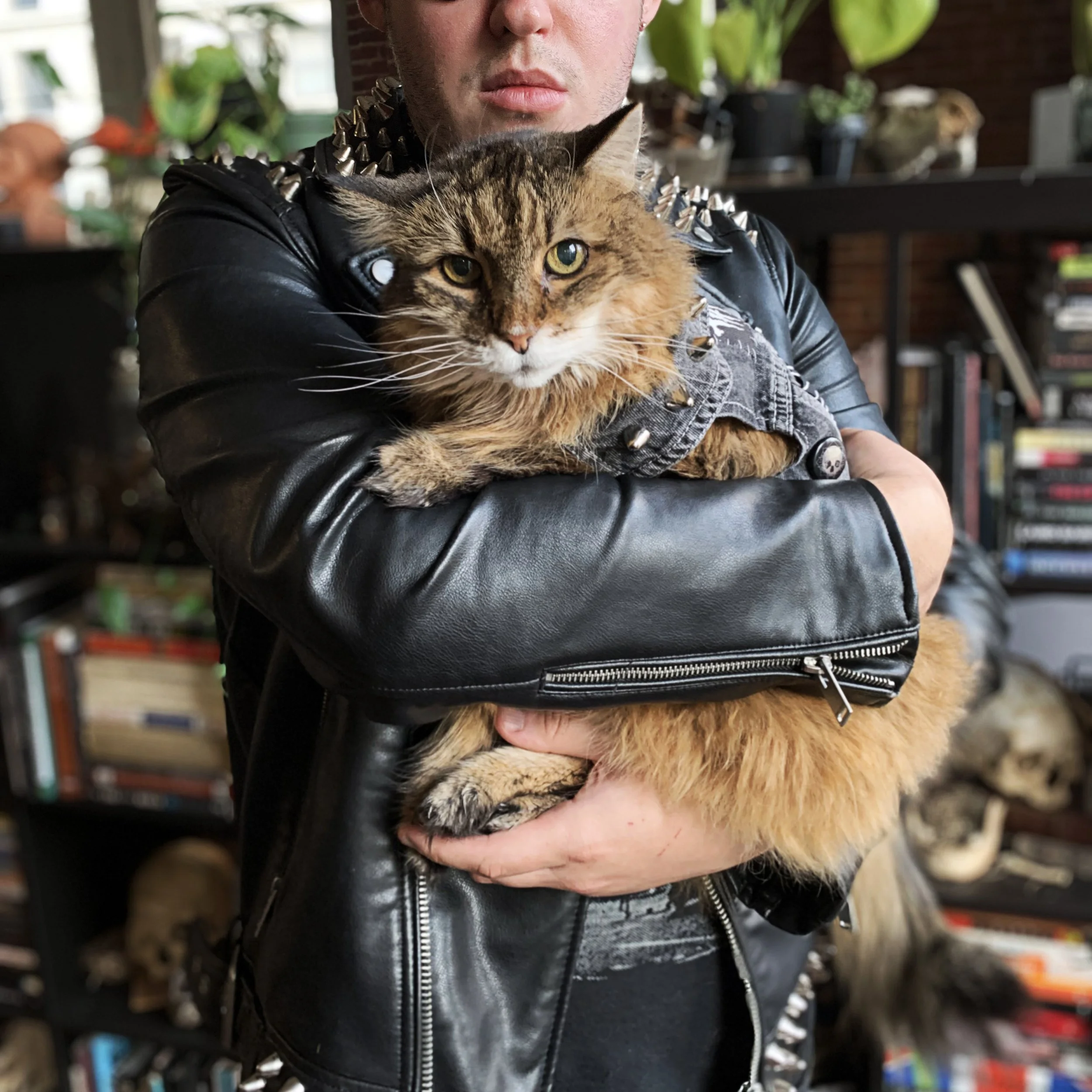 Store — The Art of Dylan Garrett Smith
