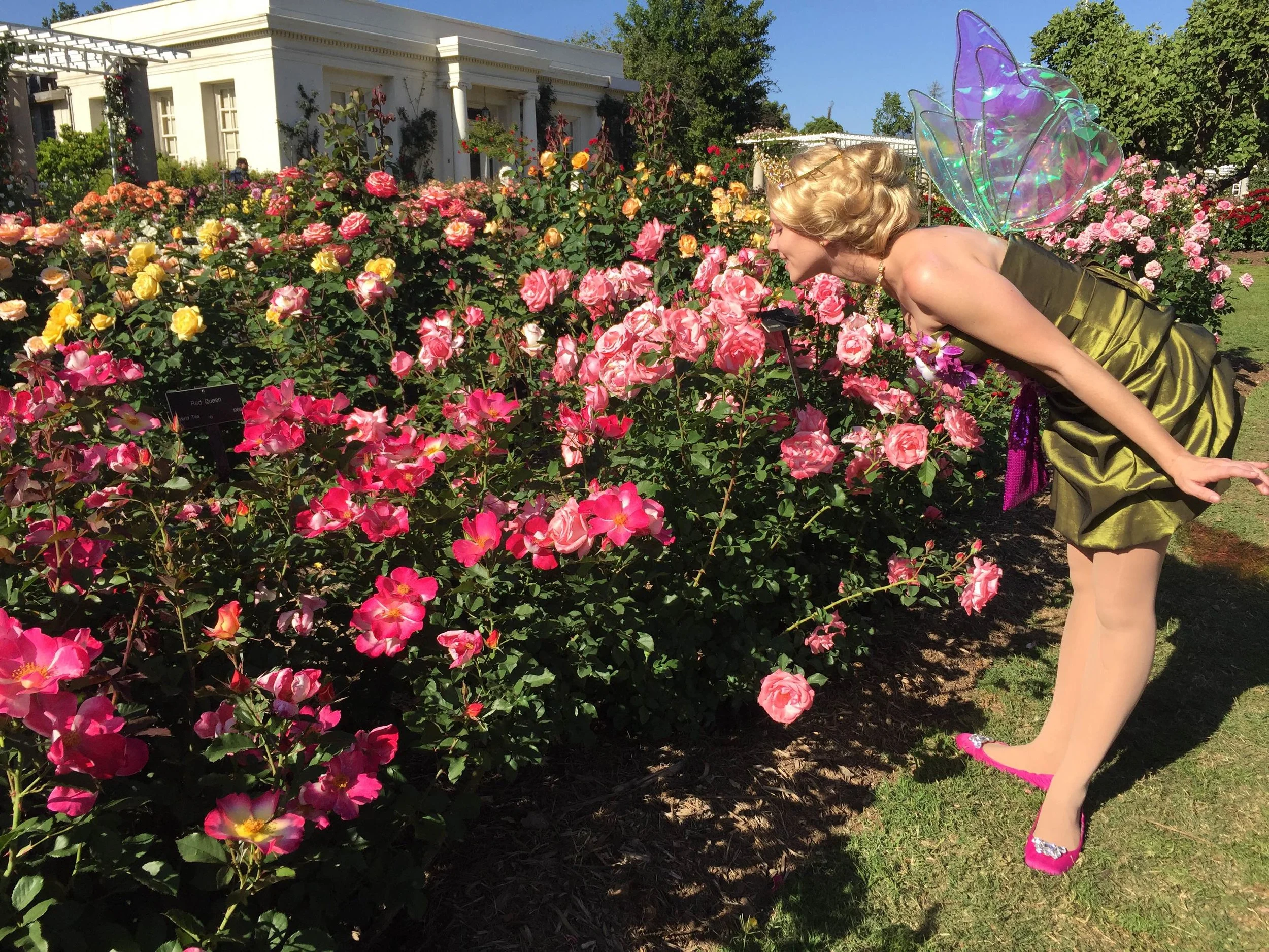 Glamorous Fairy Party Entertainment for Kids in Los Angeles and Ventura ...