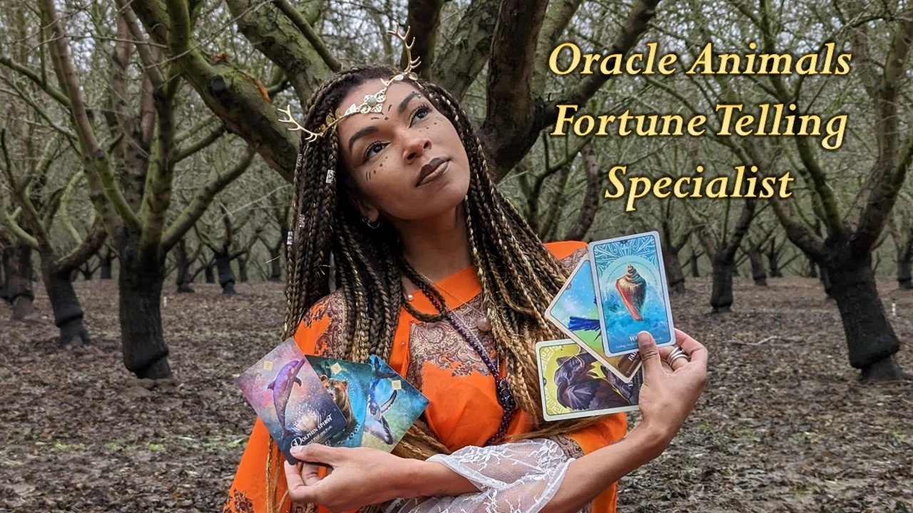 Hire a Fortune Teller for a Party or Tarot Card Reader Party ...
