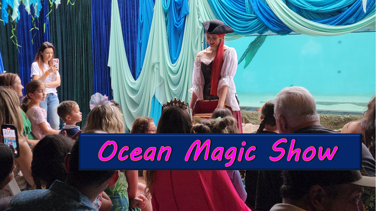 Pirate Kids' Entertainment & Fun | Perfect for LA Birthdays — Sheroes ...