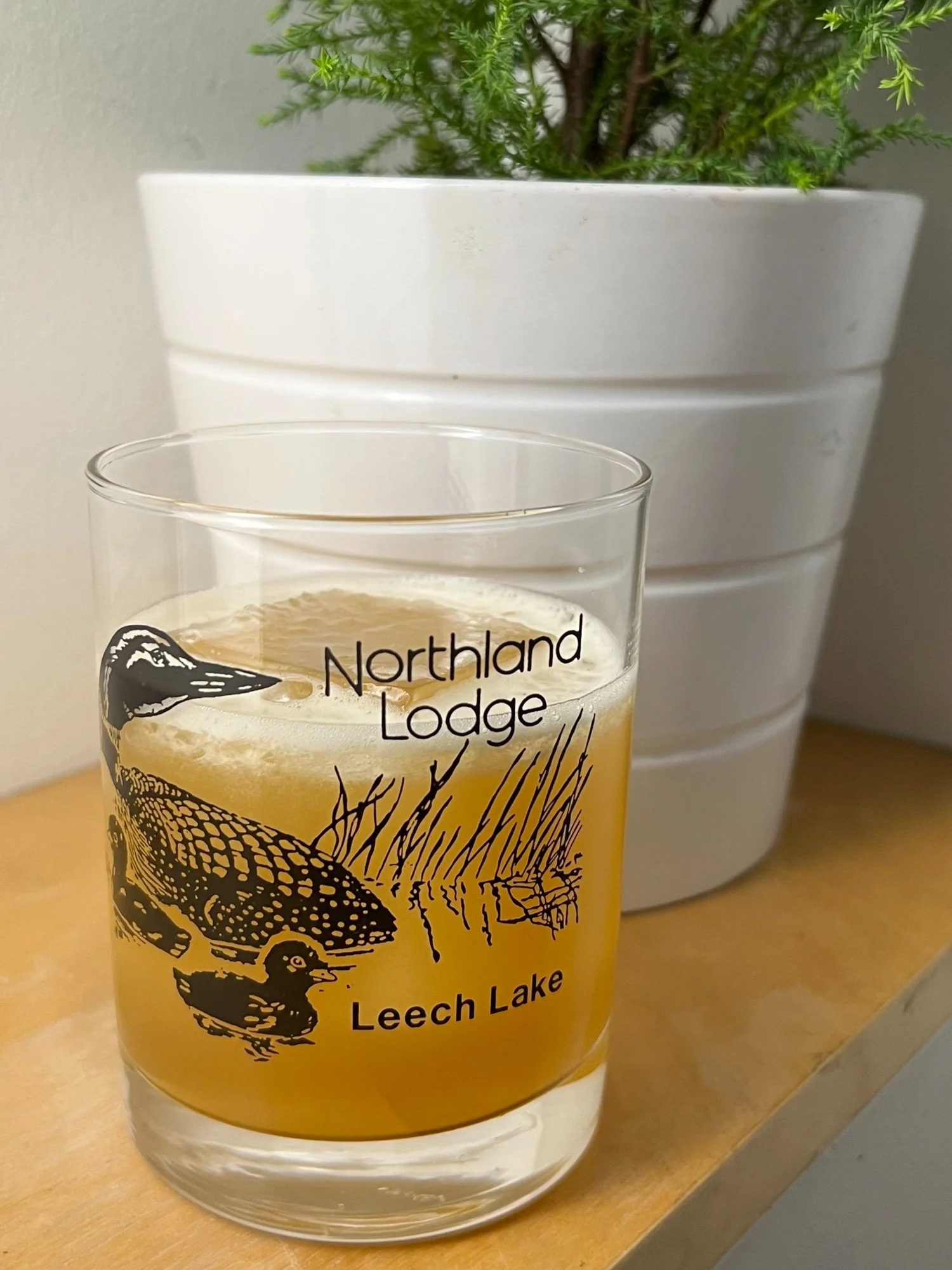 Fall Gold Rush — Mike Augustyniak