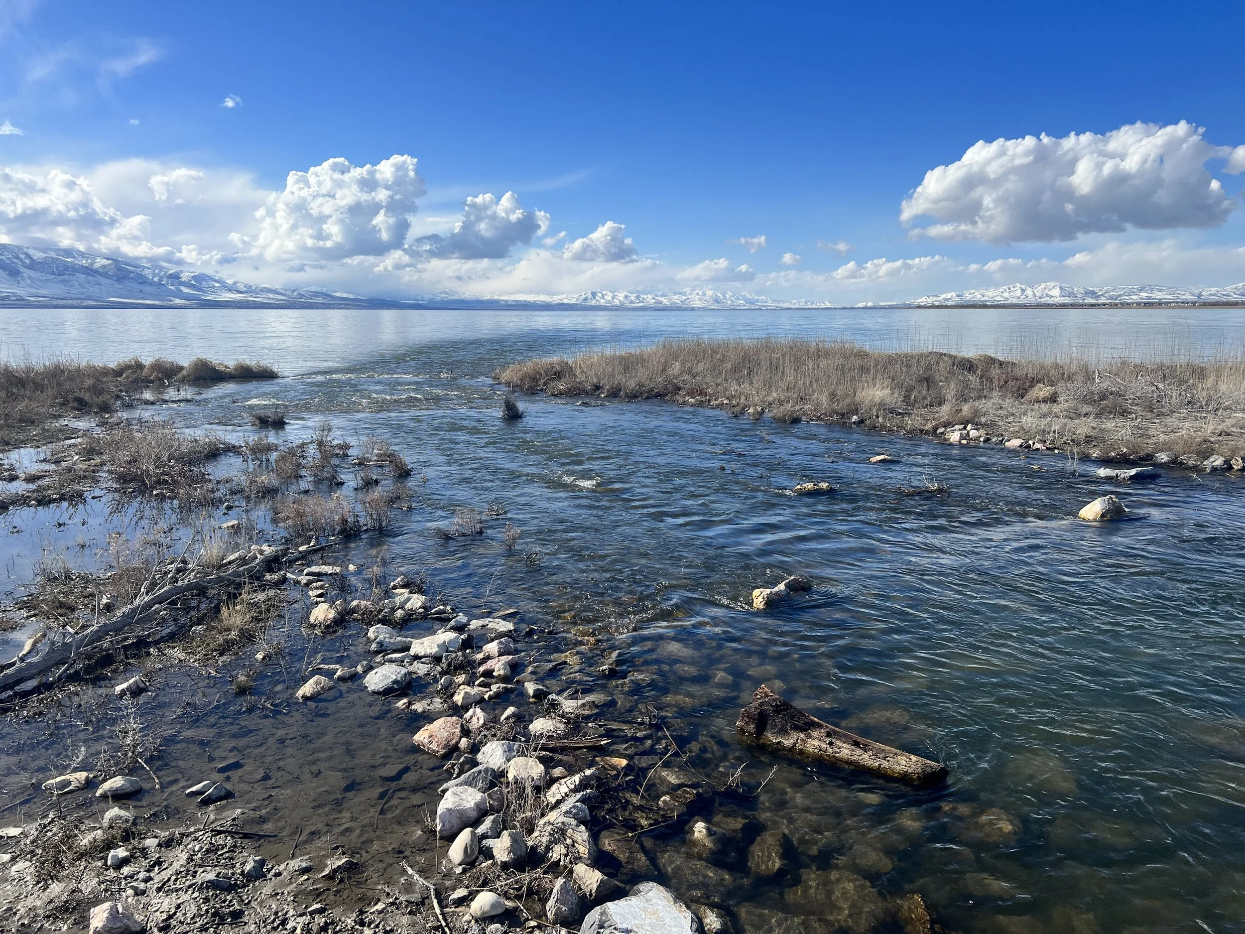 About the Project — Provo River Delta Restoration Project
