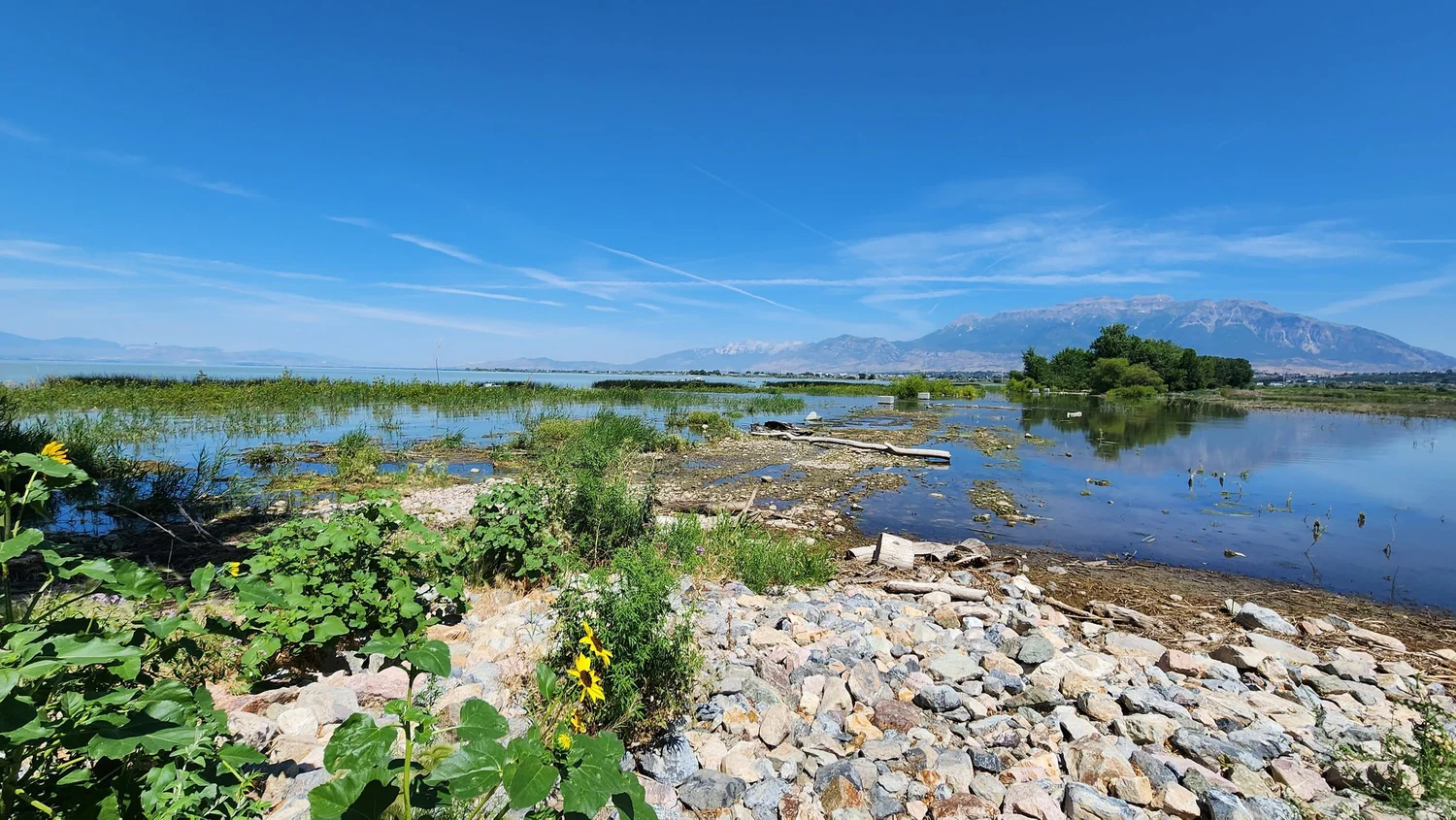 Photo Gallery — Provo River Delta Restoration Project