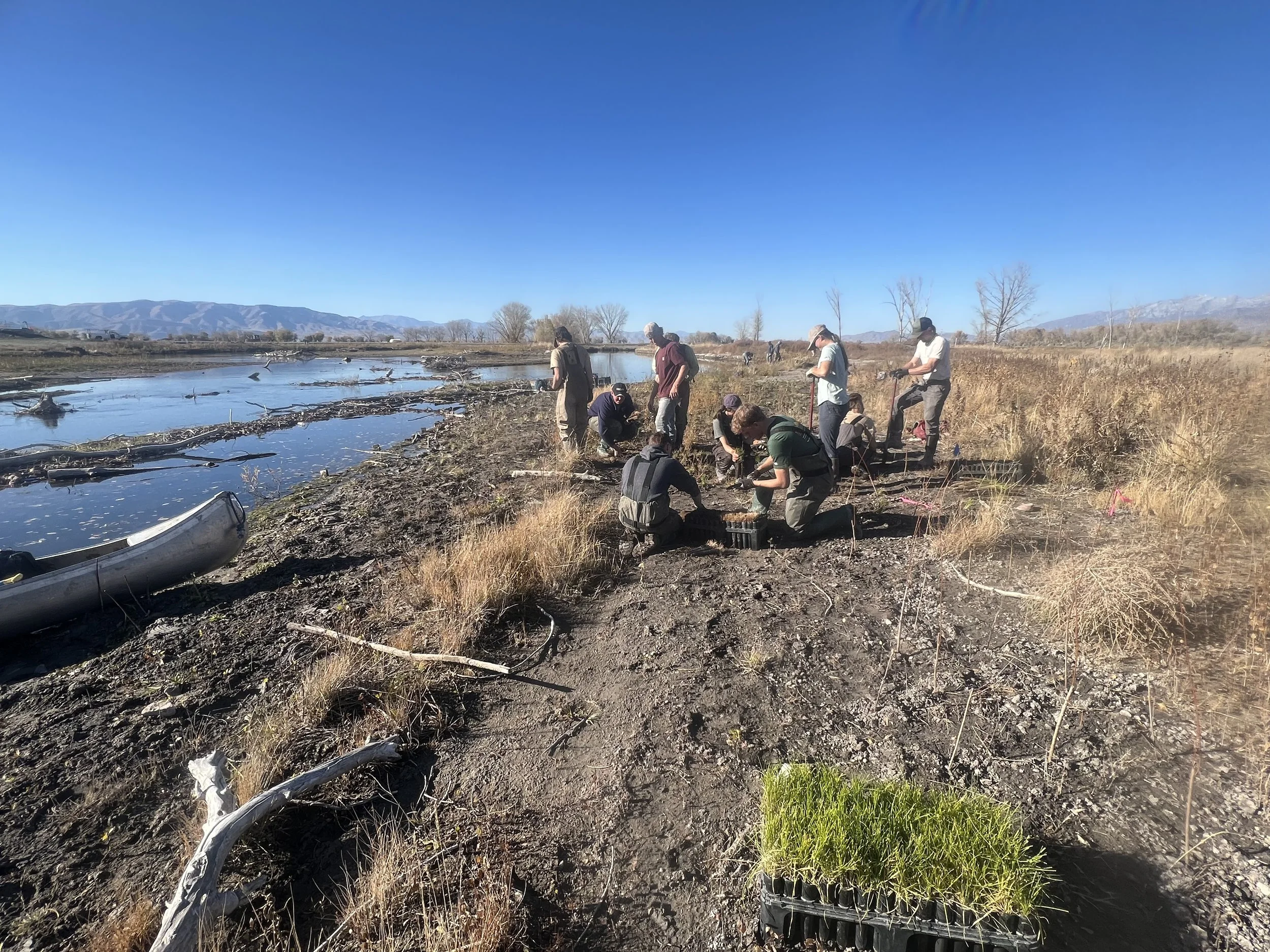 Photo Gallery — Provo River Delta Restoration Project