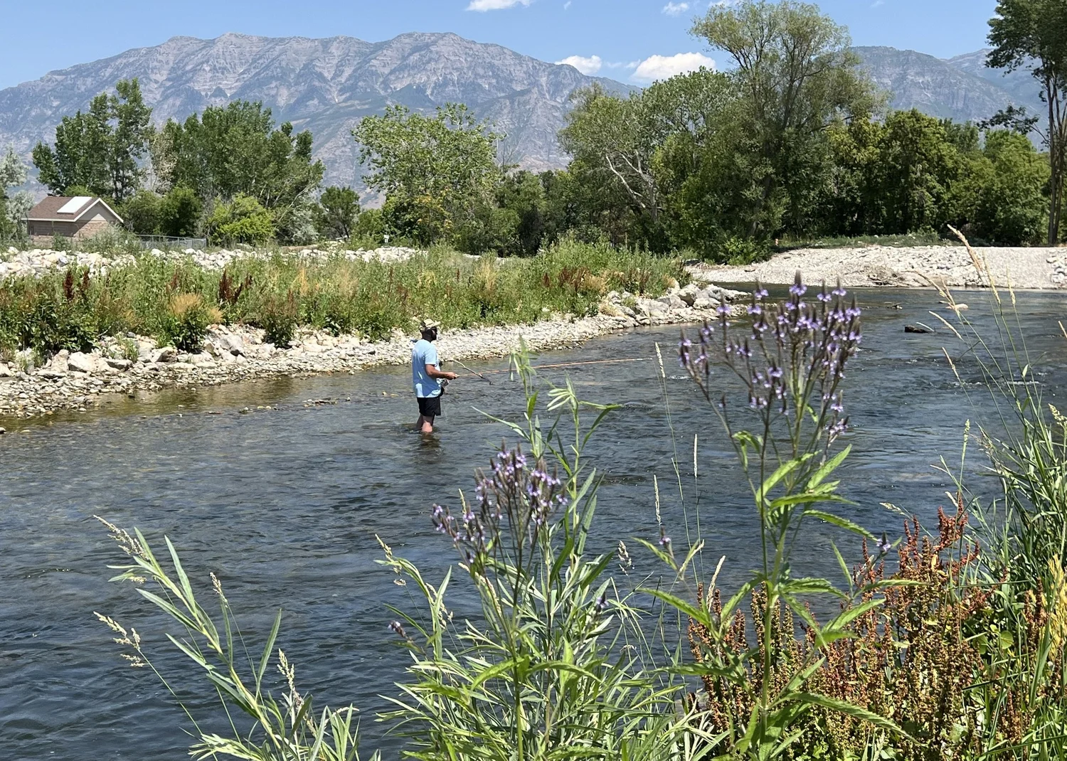 Provo River Delta Restoration Project