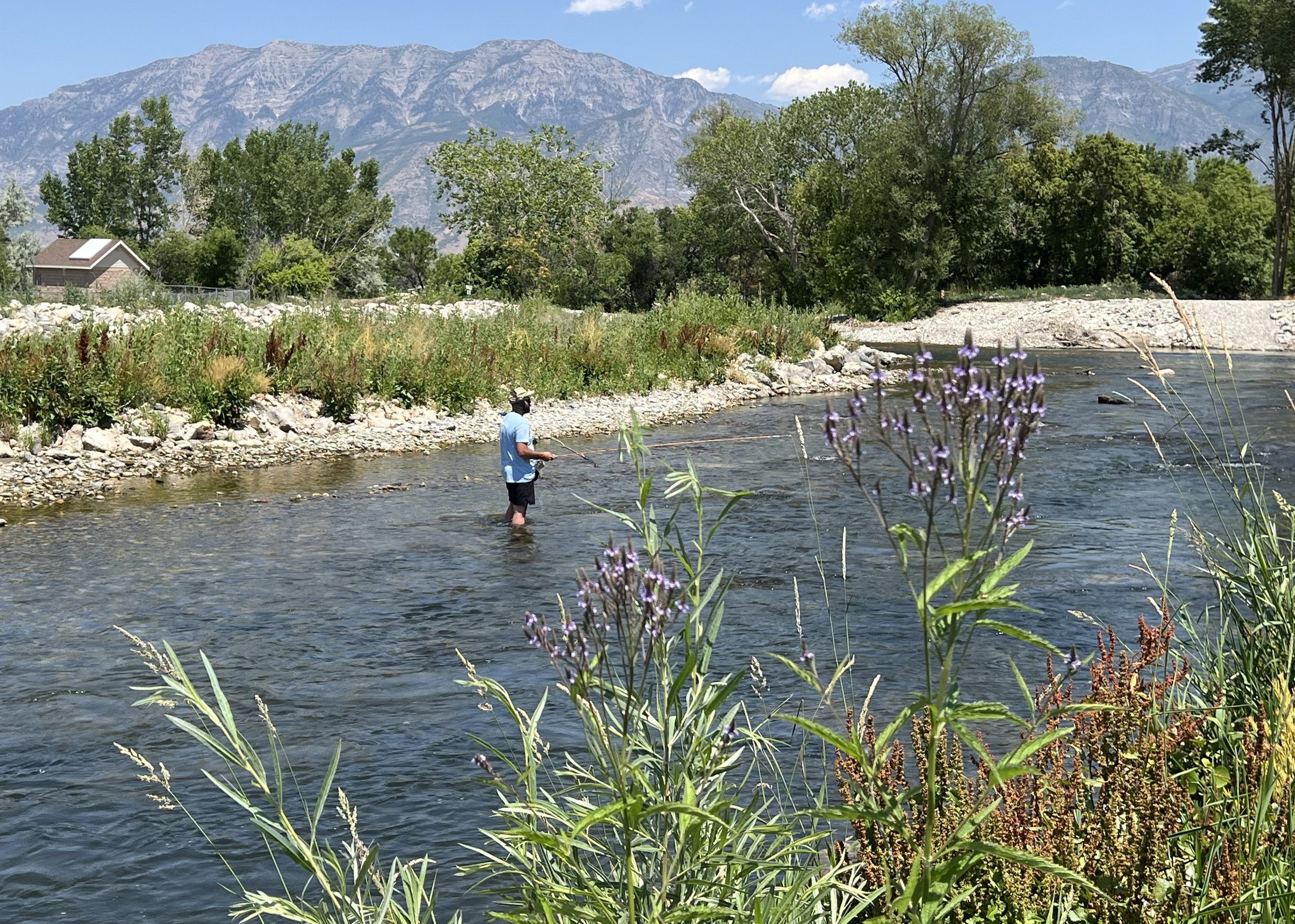 Provo River Delta Restoration Project