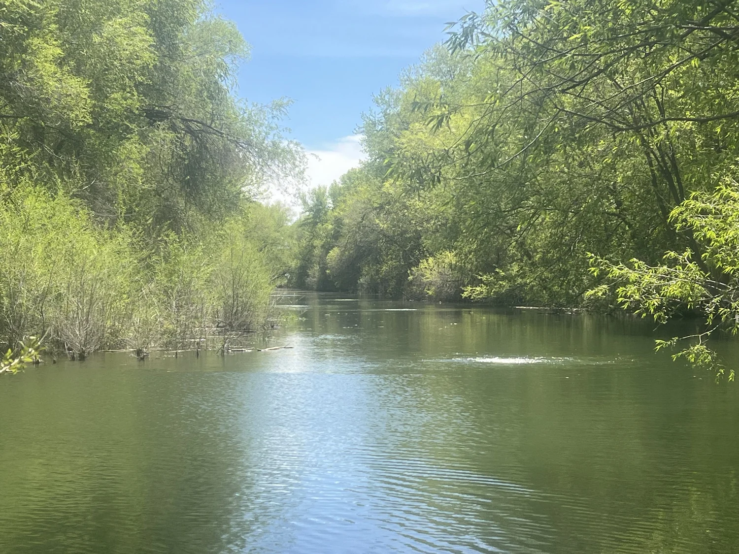 Provo River Delta Restoration Project