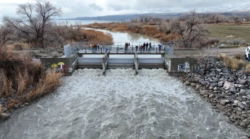 Provo River Delta Restoration Project