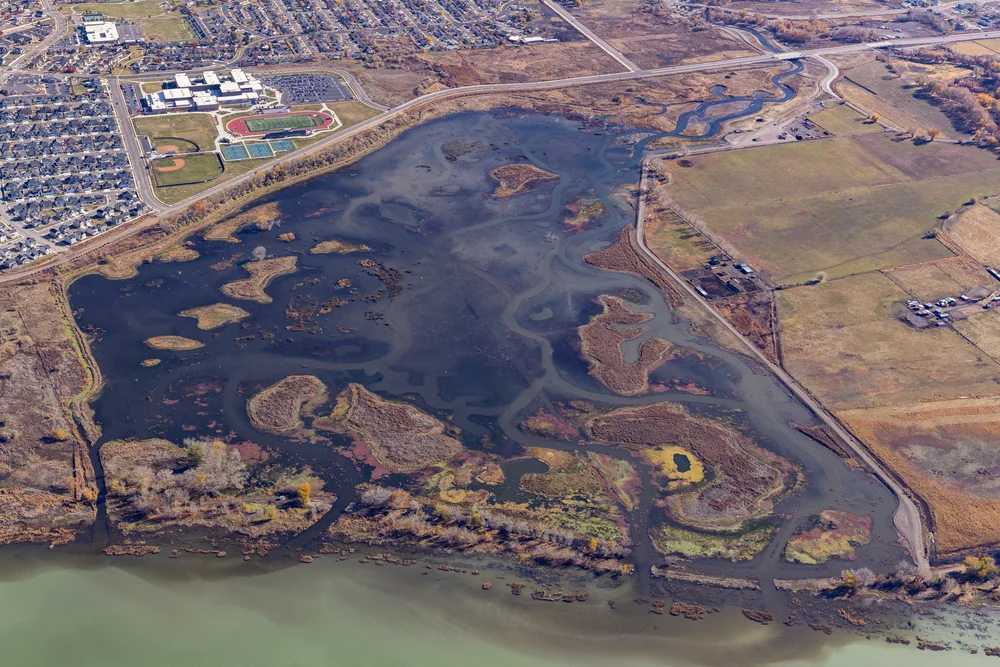 Provo River Delta Restoration Project