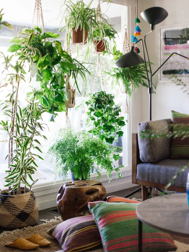 Han's Living Room Retreat — OLD BRAND NEW