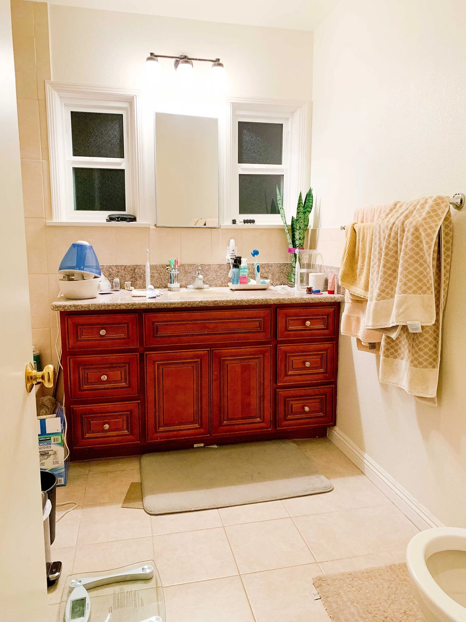 Anna's Bathroom Transformation Part 1 — OLD BRAND NEW