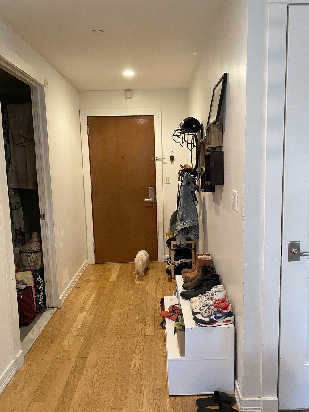 Sophia & Rana’s Makeover Part 1: The Entryway — OLD BRAND NEW