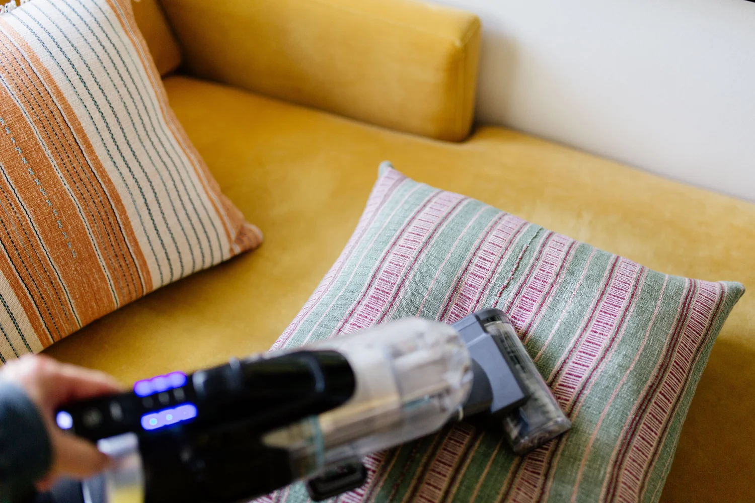 How I Maintain a Stylish, Clean Home with Three Pets — OLD BRAND NEW