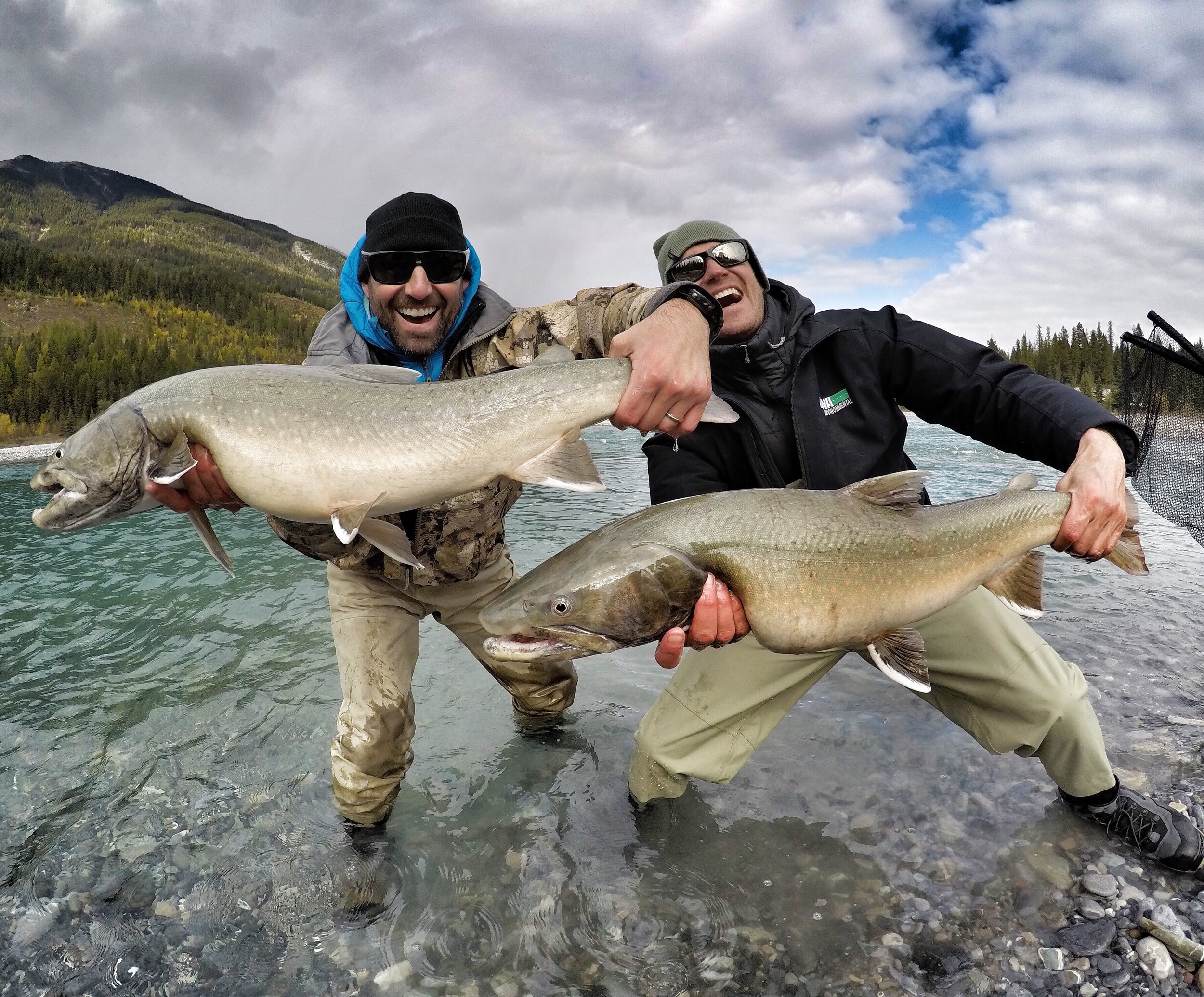 Fernie Fly Fishing Guides | Elk River, Oldman River, Wigwam