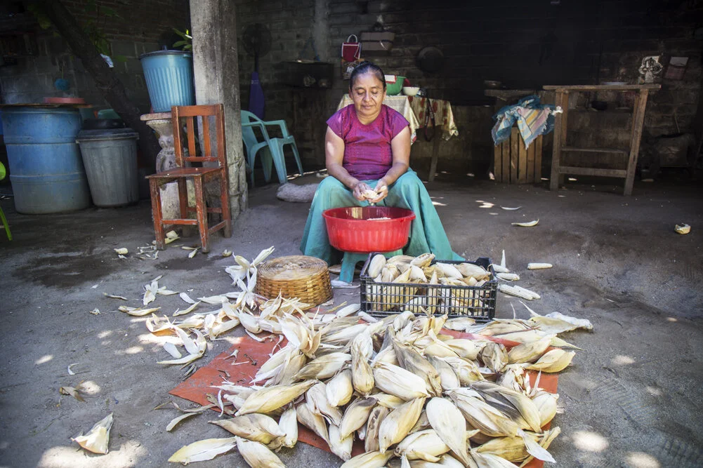 The Zapotec Corn Fields: a Visual Narrative on the Land of the South ...