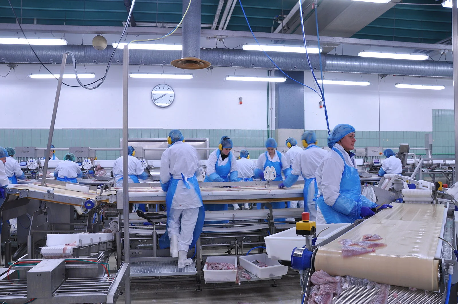 Dos and Don'ts of Food Grade Flooring Solutions — T.W. Hicks Inc.