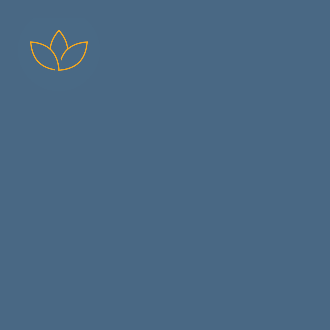 Full List of Lotus Services — Lotus Engineering & Sustainability