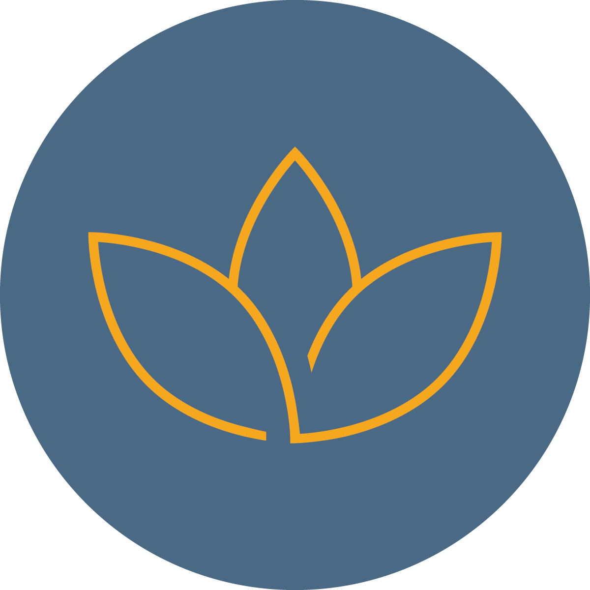 Full List of Lotus Services — Lotus Engineering & Sustainability
