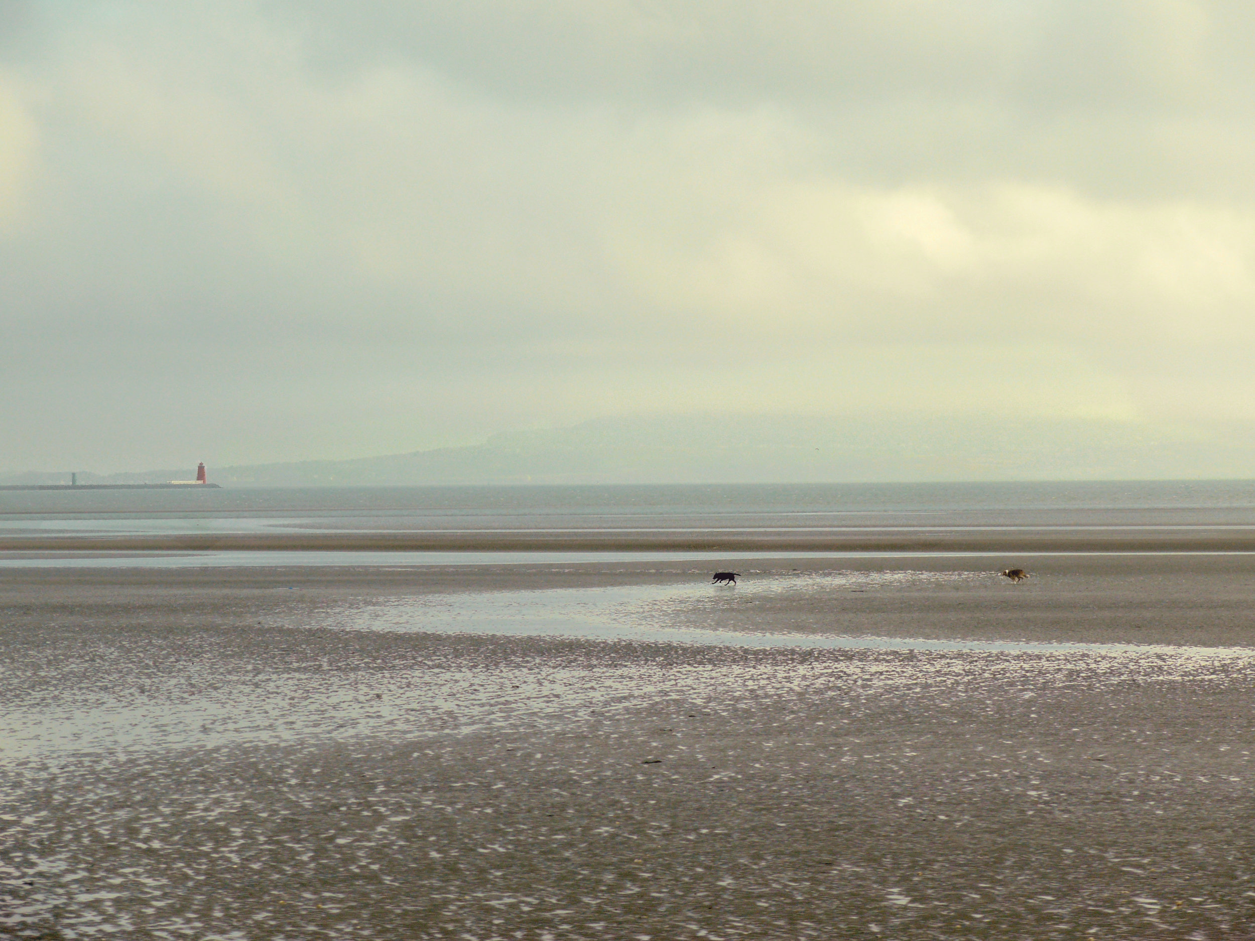 Sandymount Strand — brendan joseph