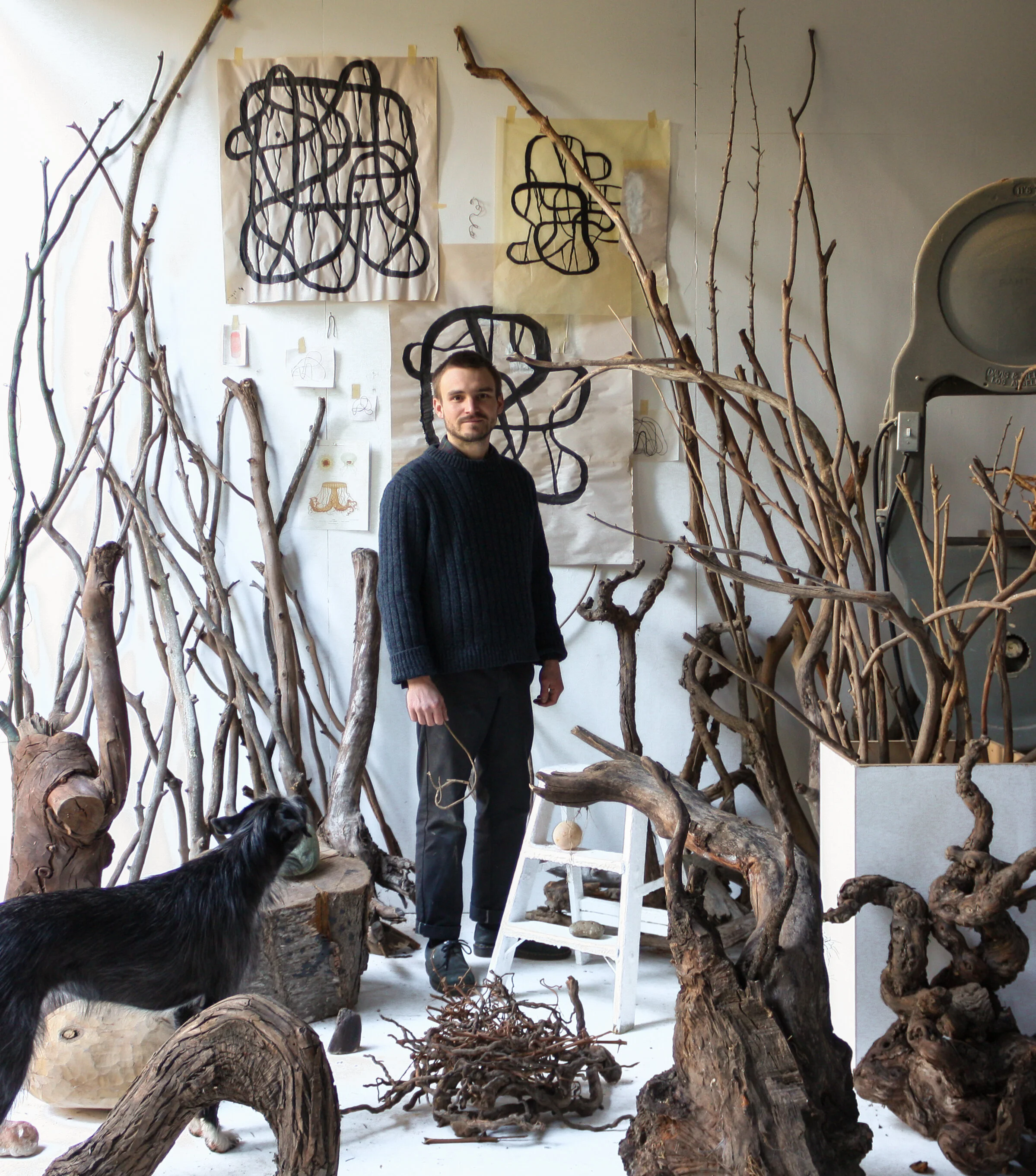 About — Julian Watts