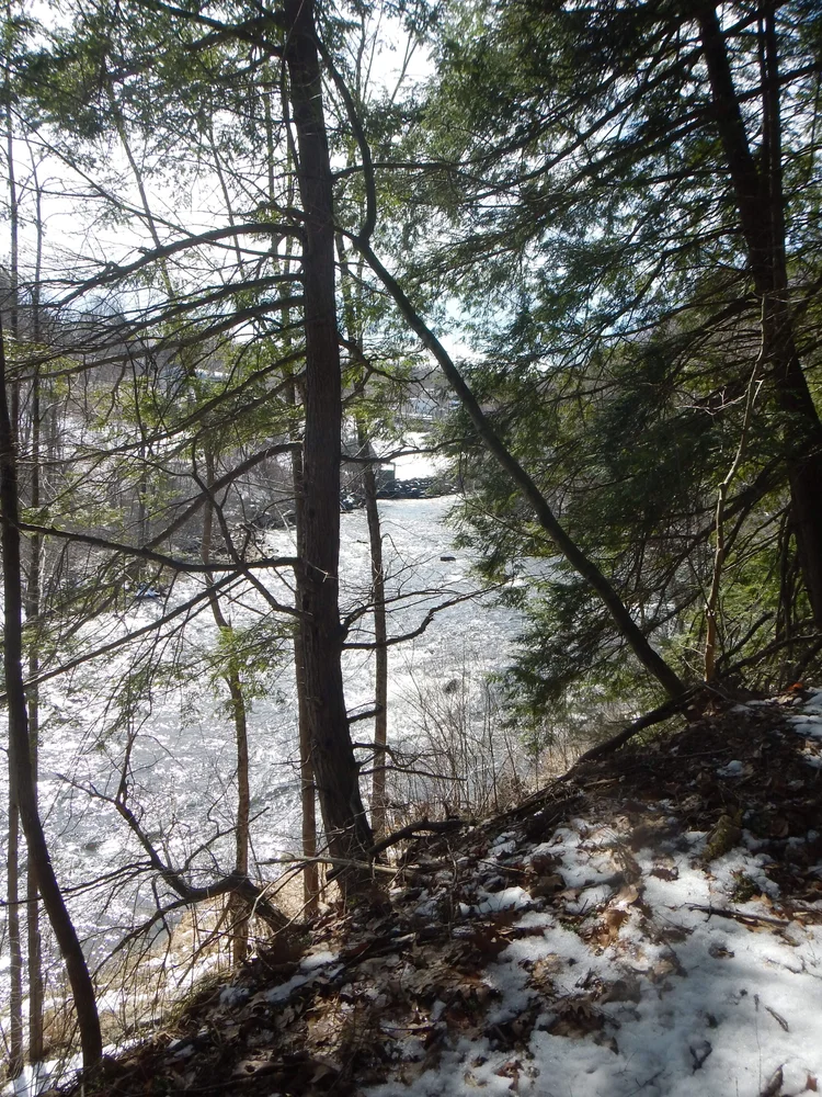 Cobbossee Stream Conservation Area — Kennebec Land Trust