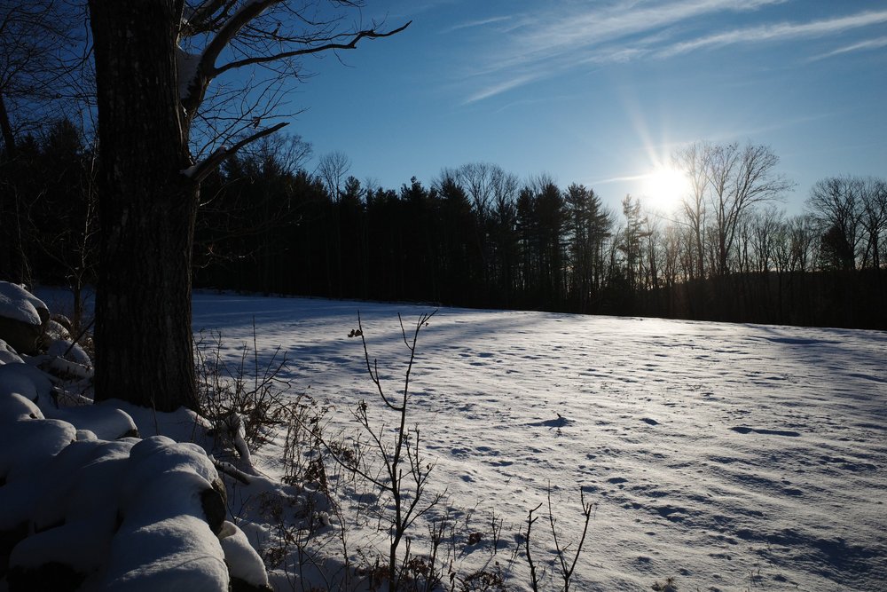 Oak Hill Conservation Area — Kennebec Land Trust
