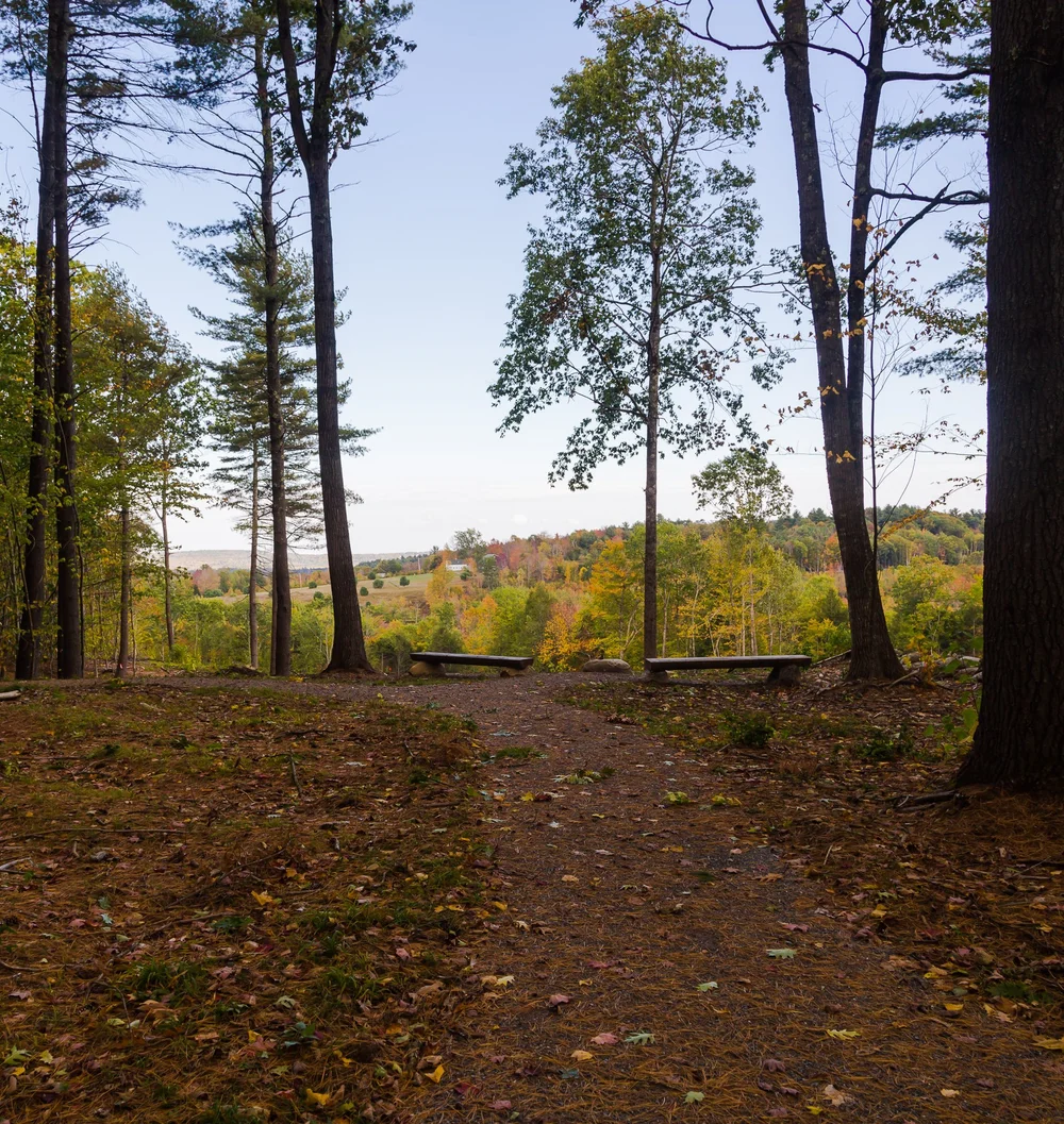 Baldwin Hill Conservation Area — Kennebec Land Trust