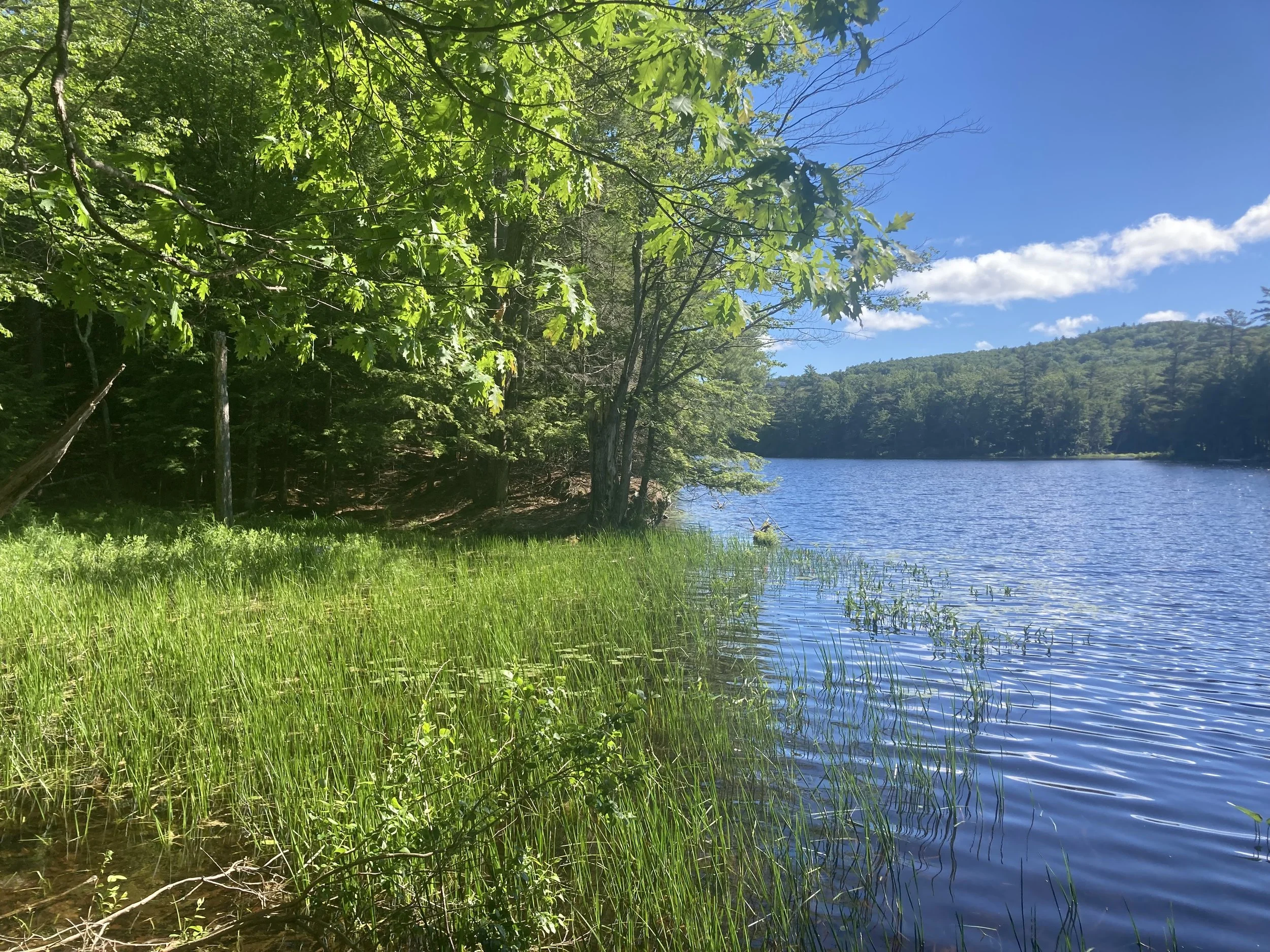 Kennebec Land Trust cabins featured on TV are now available to rent — Kennebec Land Trust