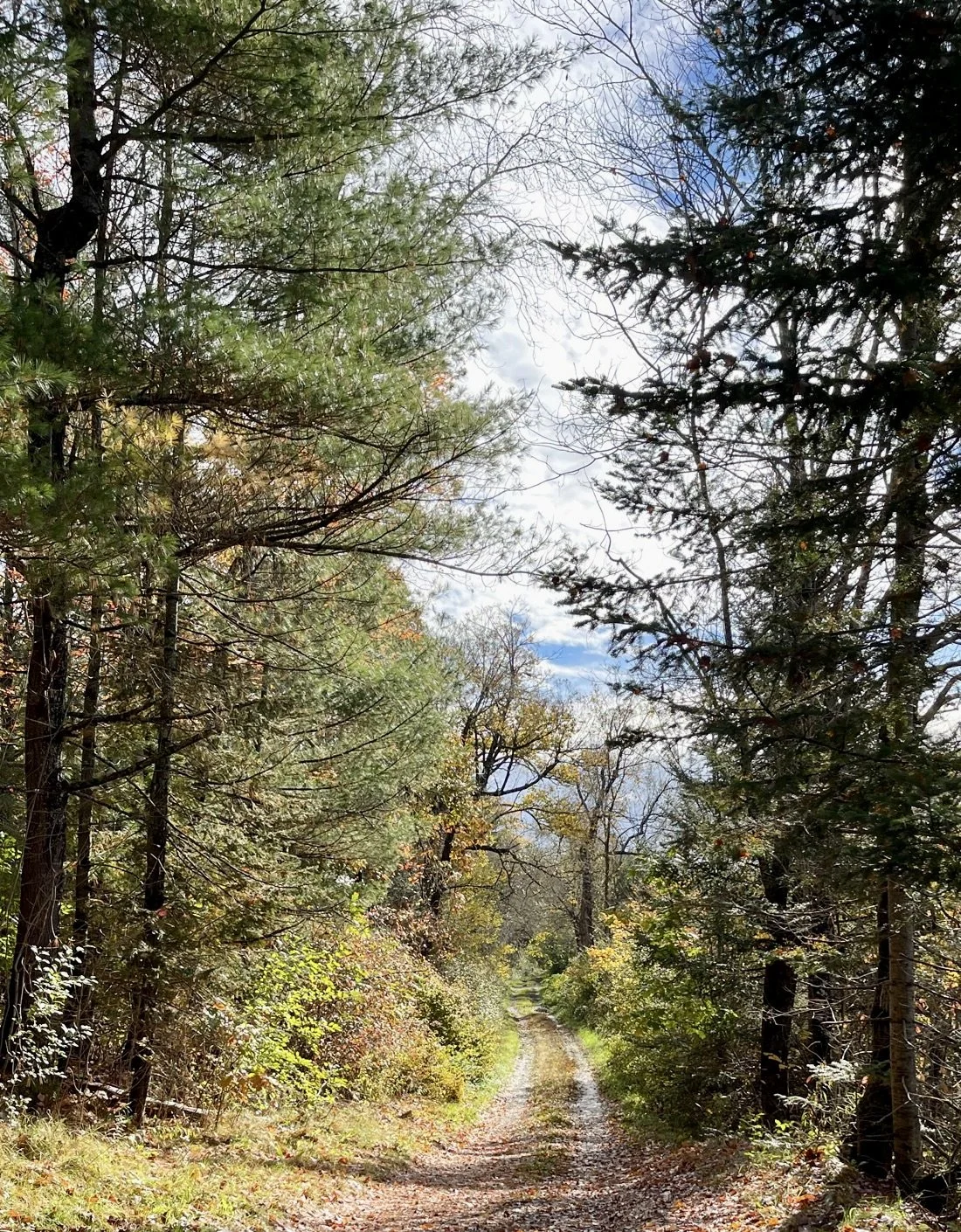 Kennebec Land Trust
