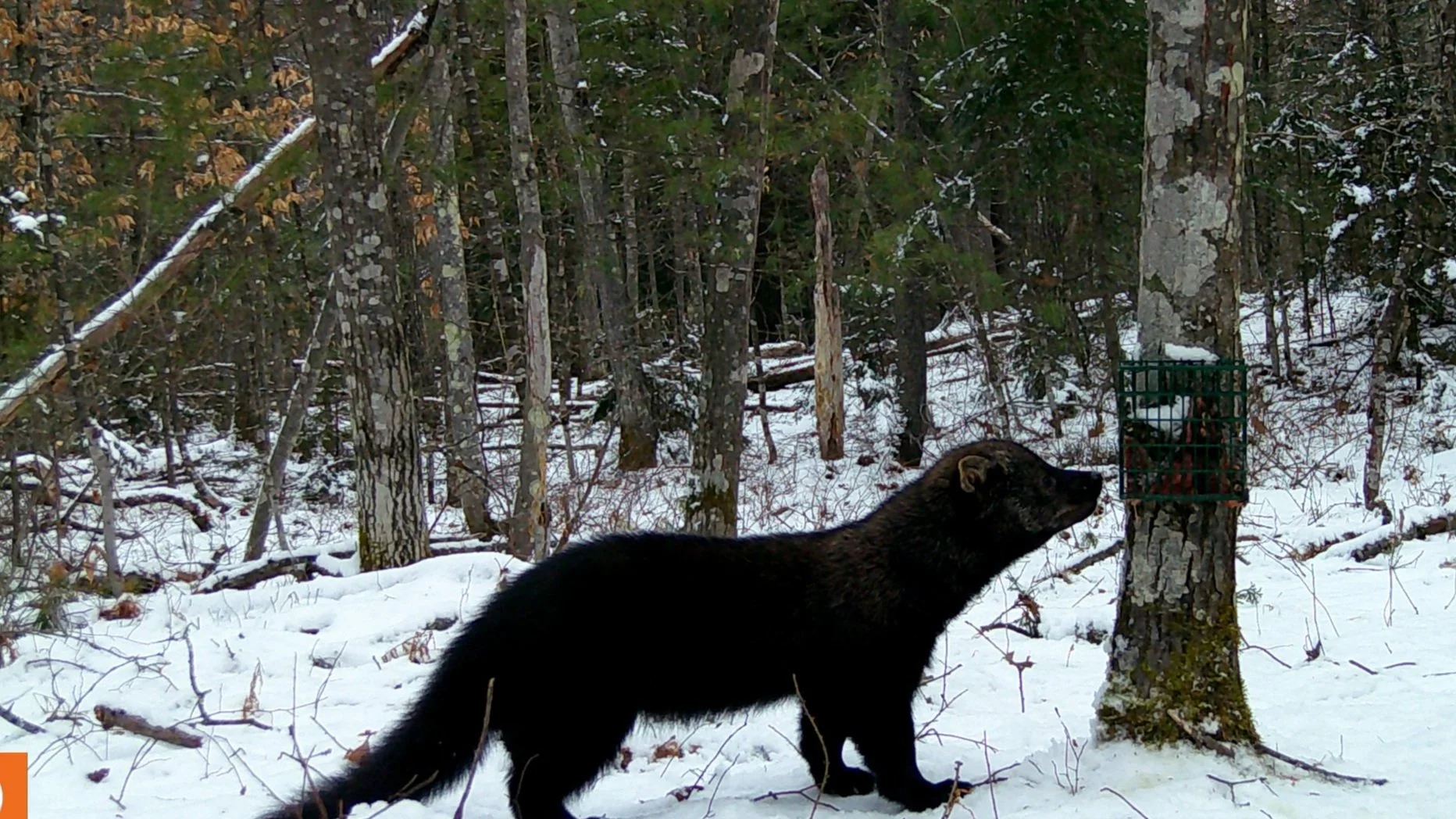 Kennebec Land Trust