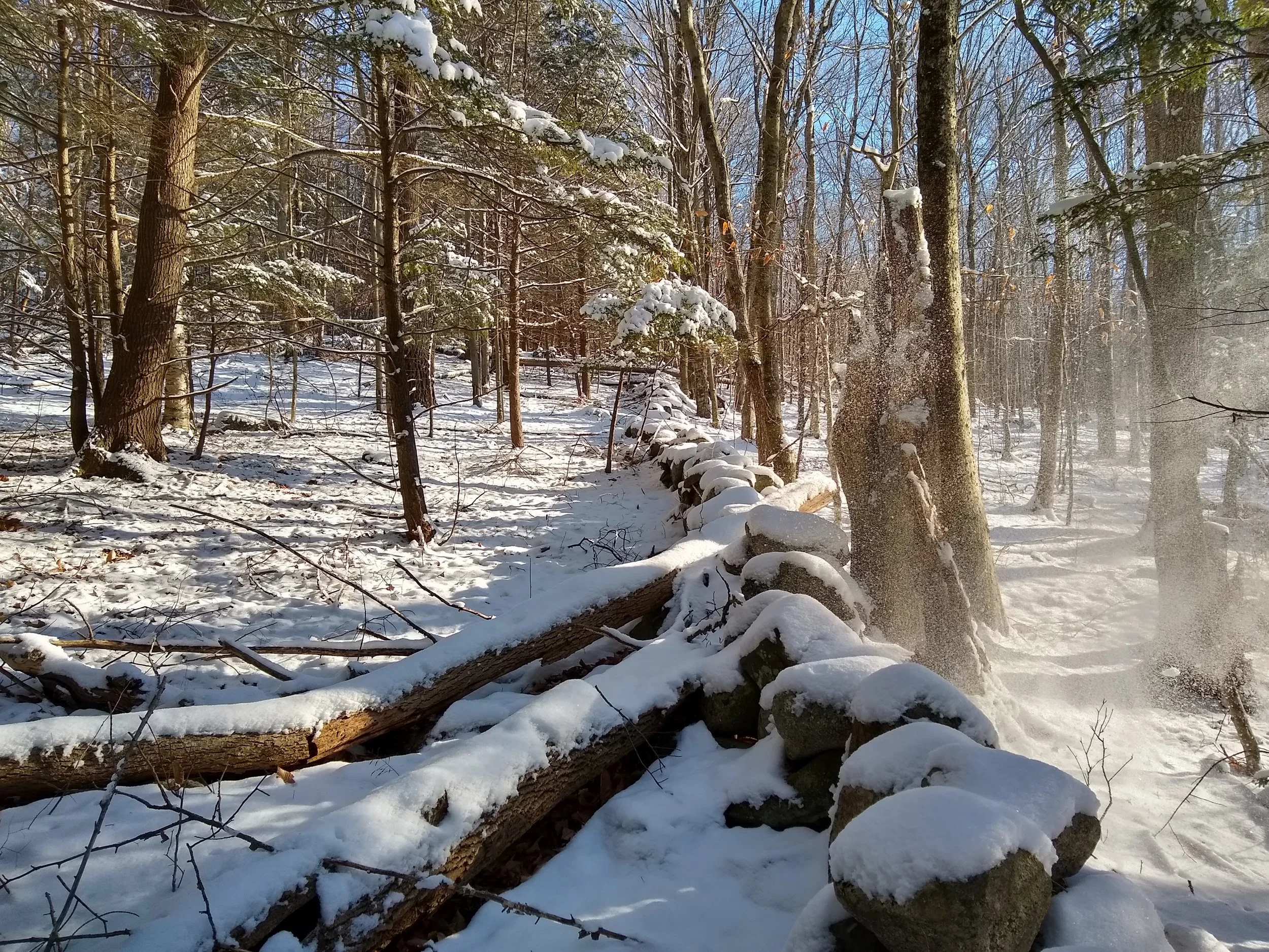 Kennebec Land Trust