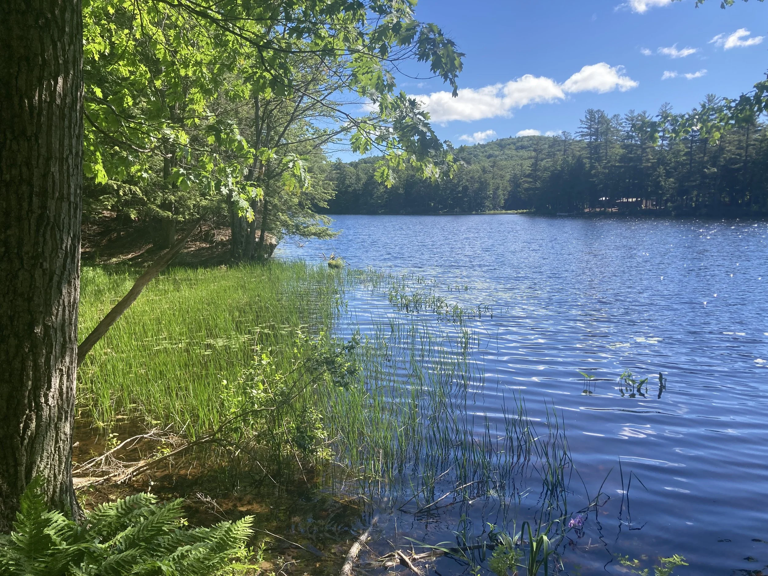 Kennebec Land Trust
