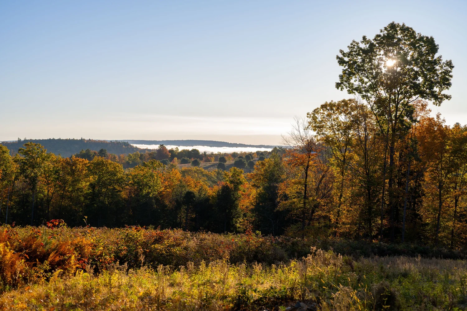 Kennebec Land Trust