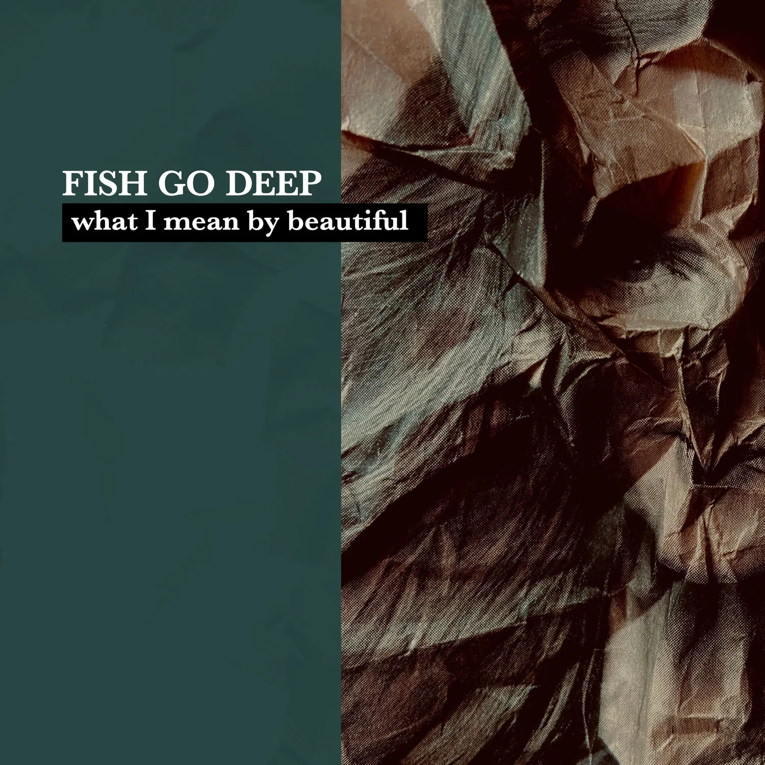 Fish Go Deep