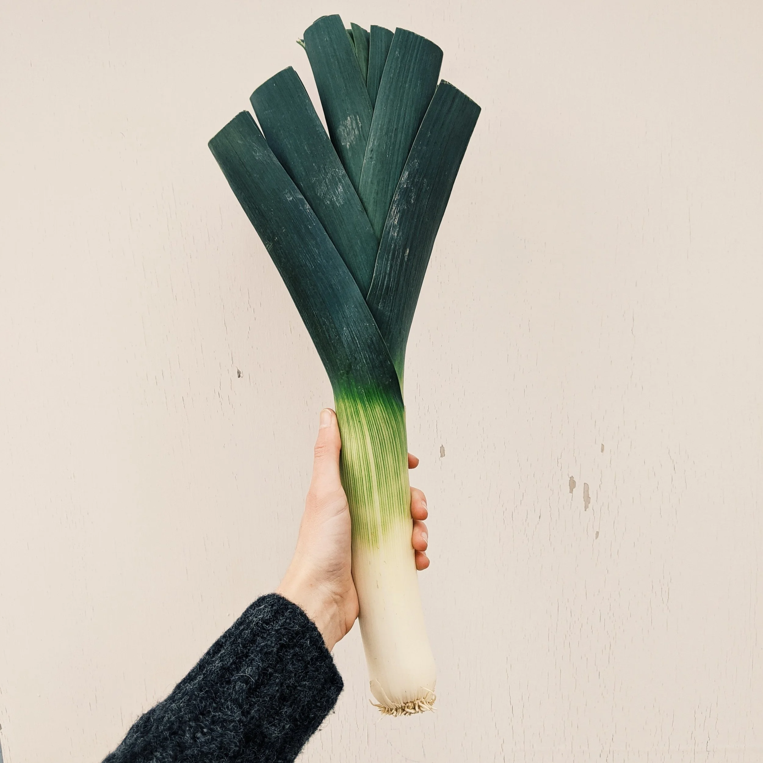 Week of March 23rd — LINC Foods