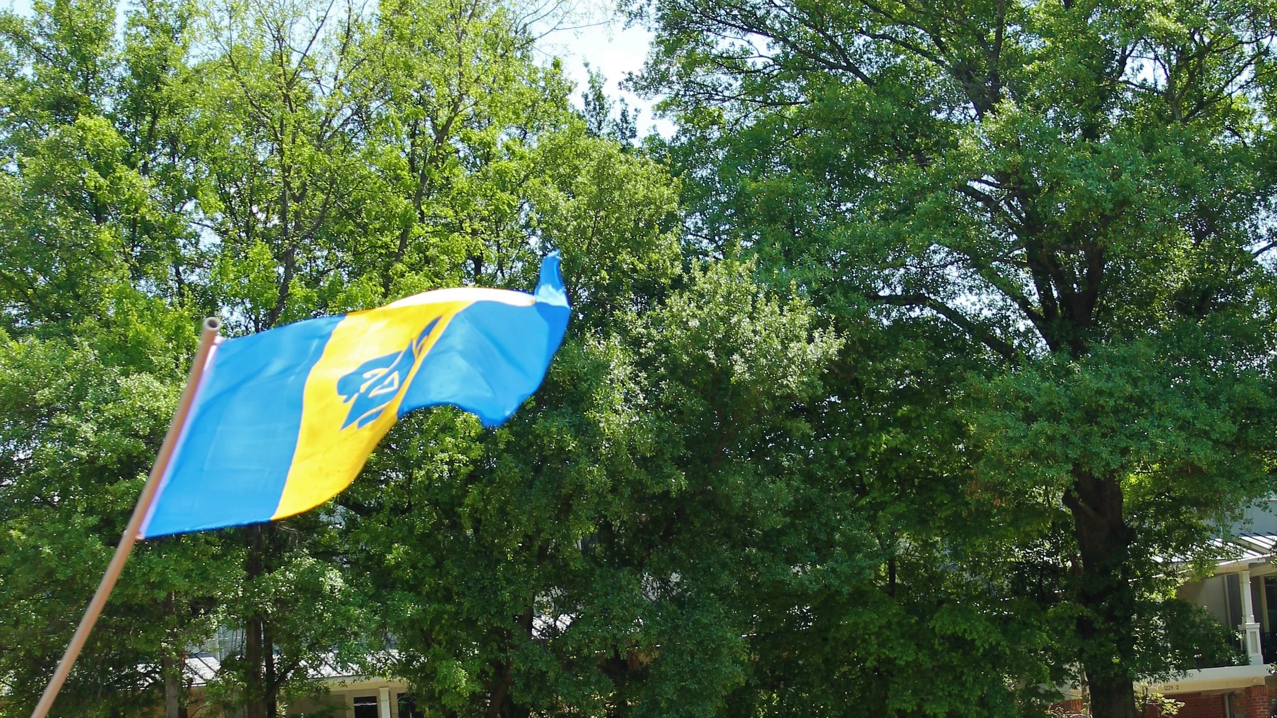 Scholarship — Delta Upsilon At Georgia Tech