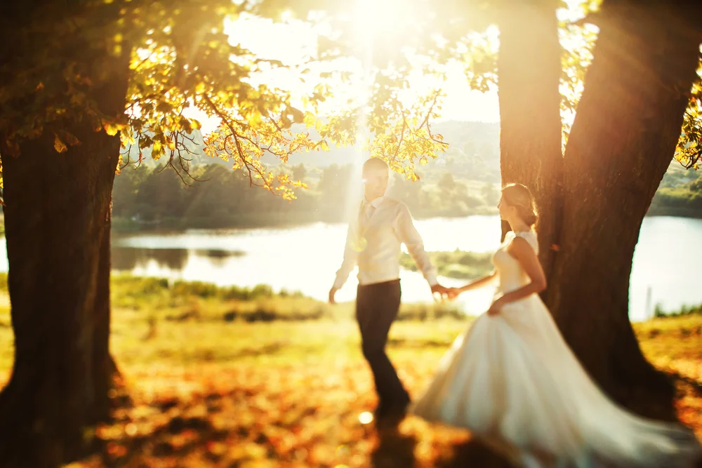 Genesis 24: How Isaac Met Rebekah — ShegznStuff