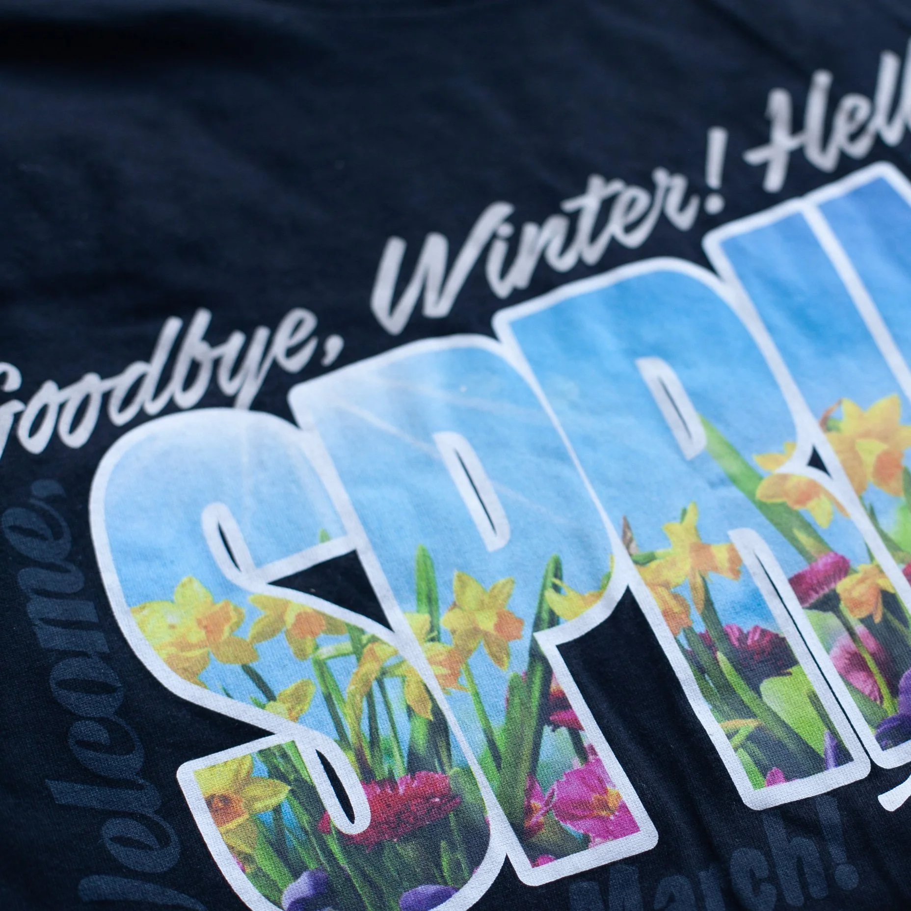 Services — Nomadic Stars