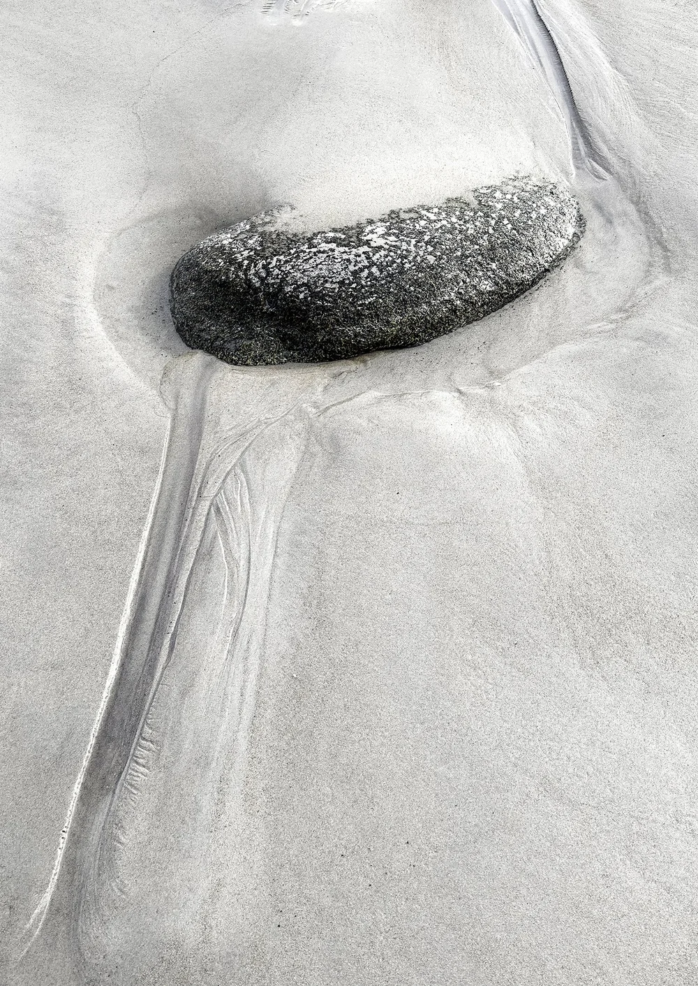 Sandy Point Portfolio — C. Max Schenk