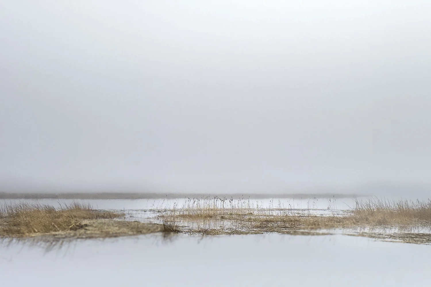 Marsh Views Portfolio — C. Max Schenk