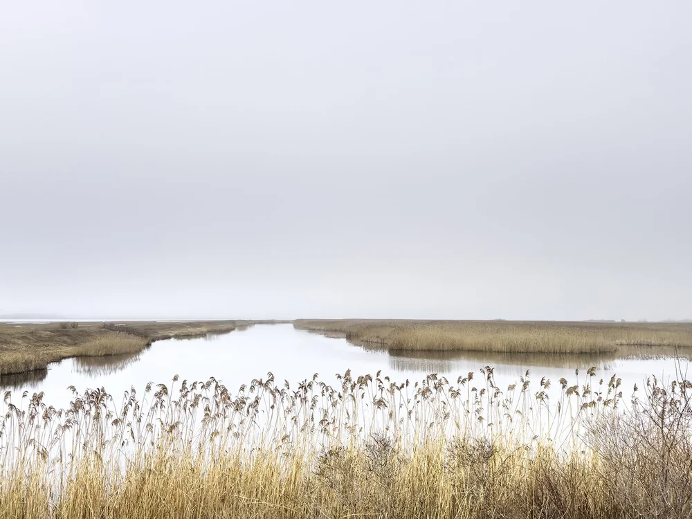 Marsh Views Portfolio — C. Max Schenk