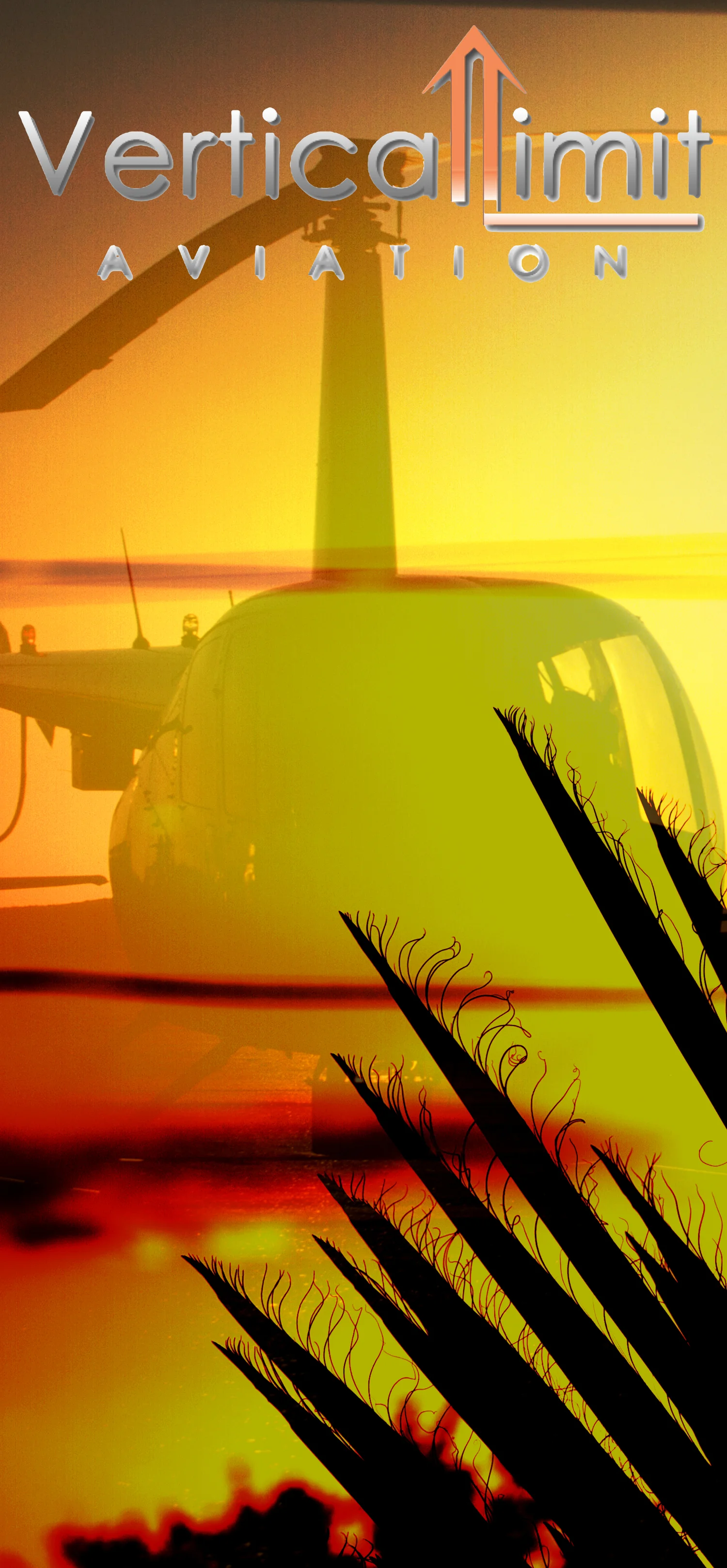 Vertical Limit Aviation-Vertical Limit Aviation