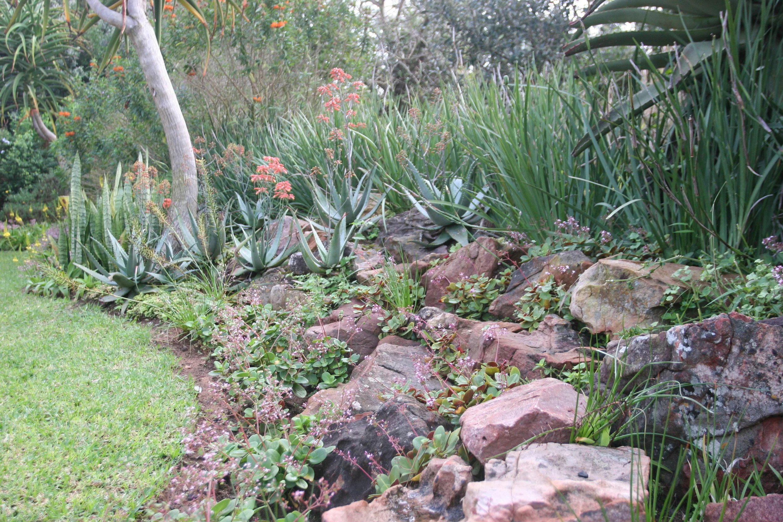 Brittlewood Close Zimbali — Eco Balance Landscaping Ballito | Garden ...