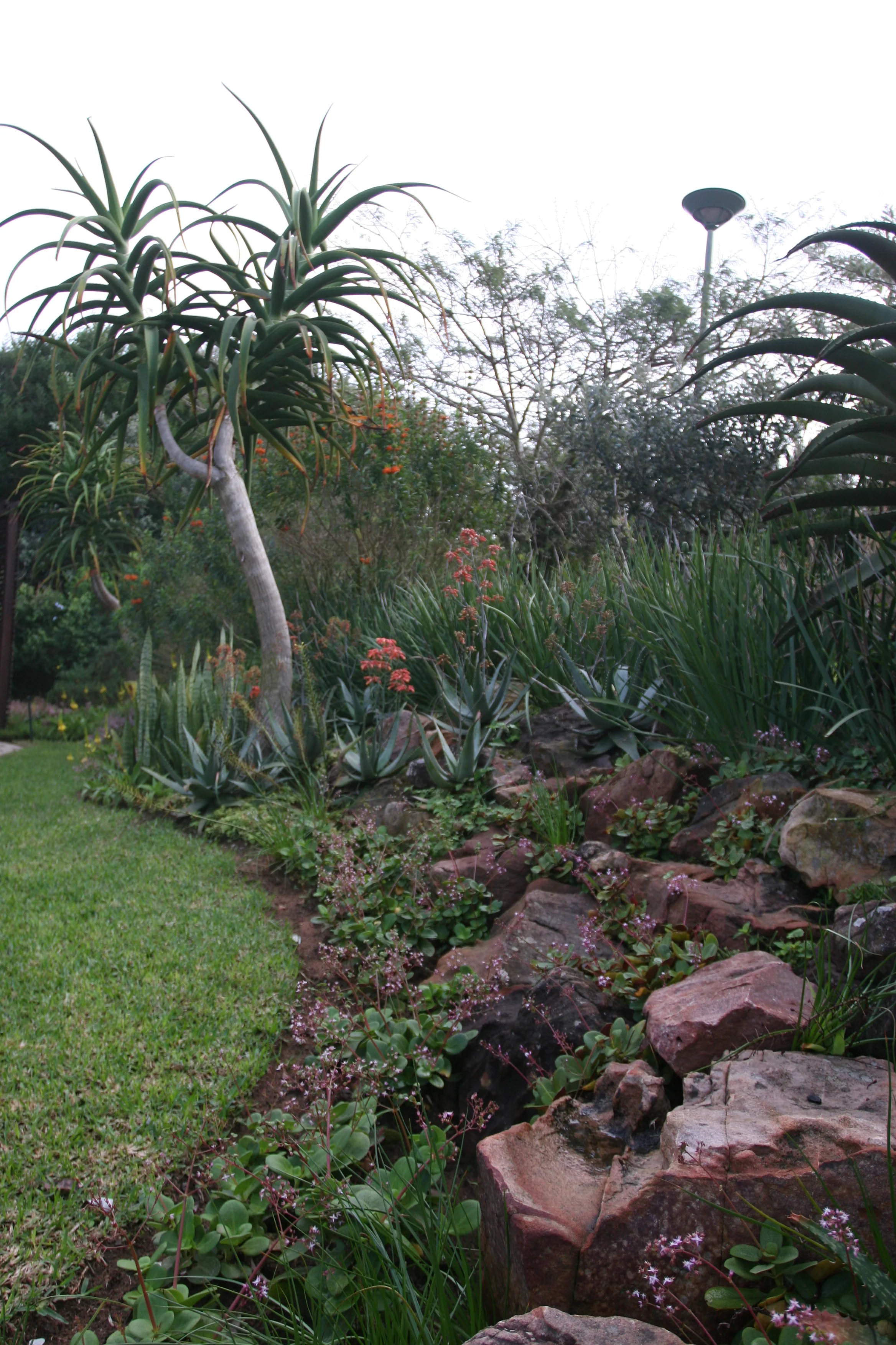 Brittlewood Close Zimbali — Eco Balance Landscaping Ballito | Garden ...