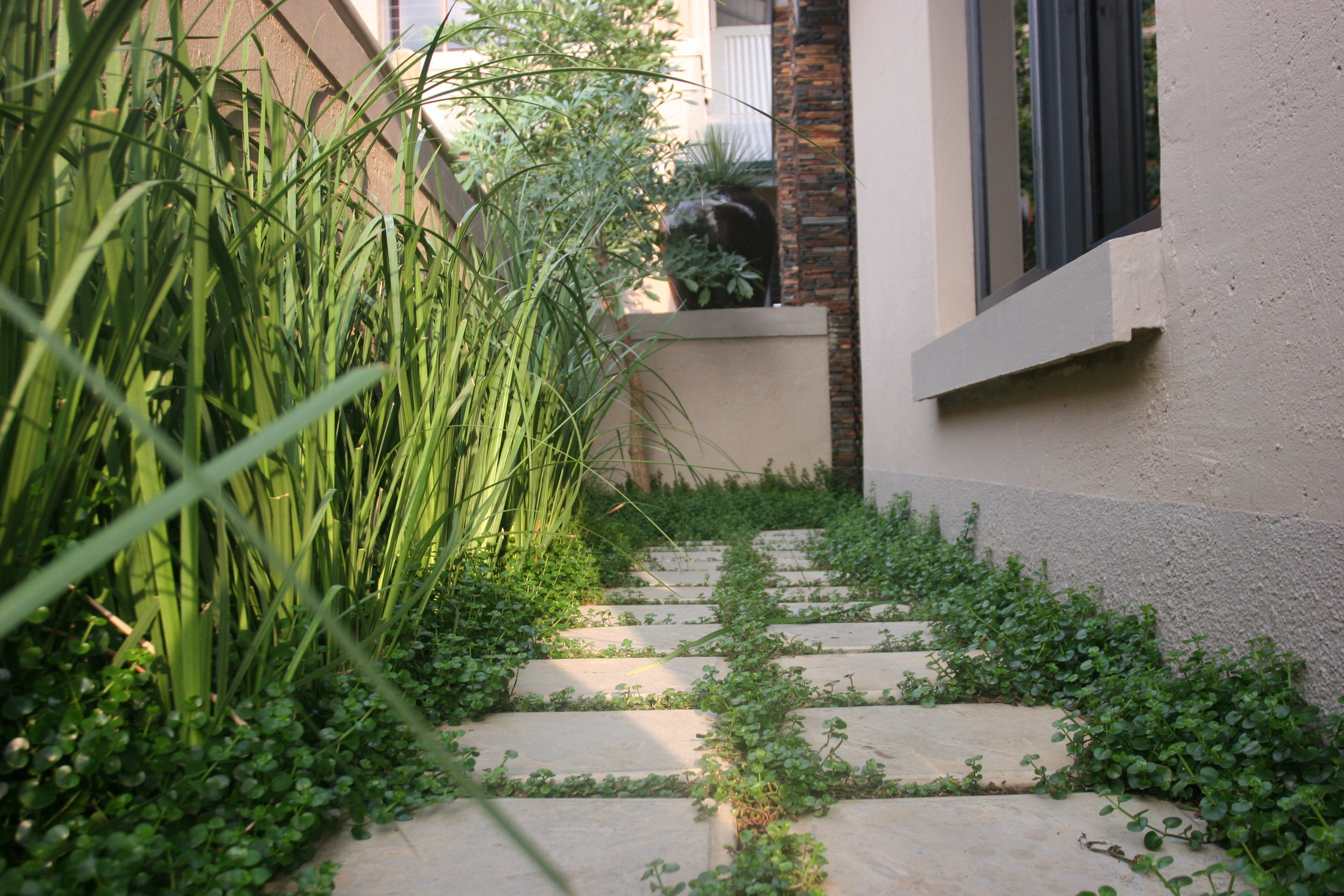 Ironwood Road Simbithi — Eco Balance Landscaping Ballito | Garden ...