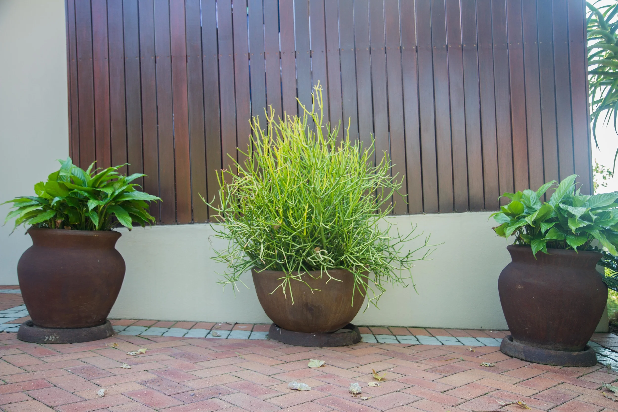 Other service Galleries — Eco Balance Landscaping Ballito | Garden ...