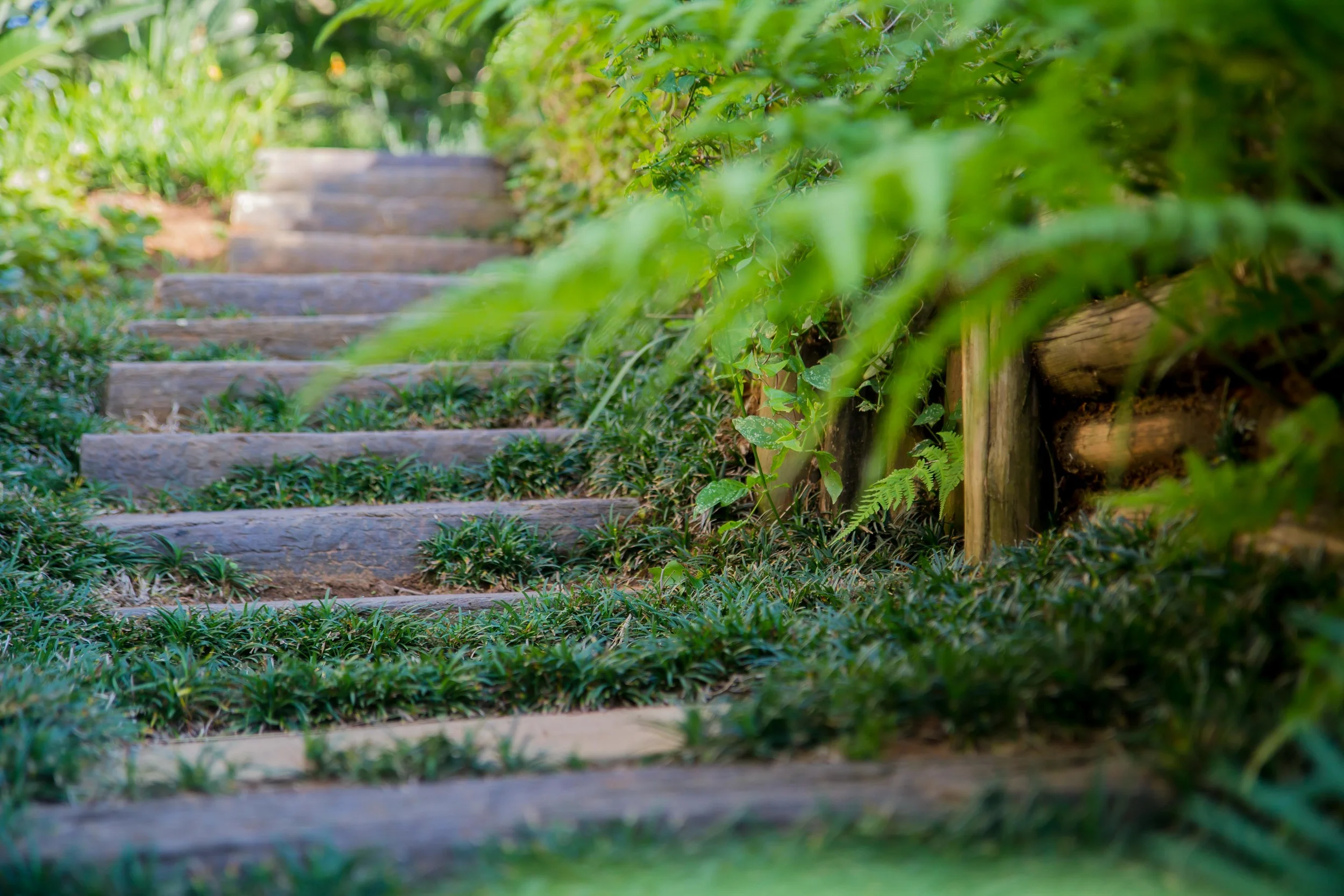 Paving and Pathways — Eco Balance Landscaping Ballito | Garden Services ...